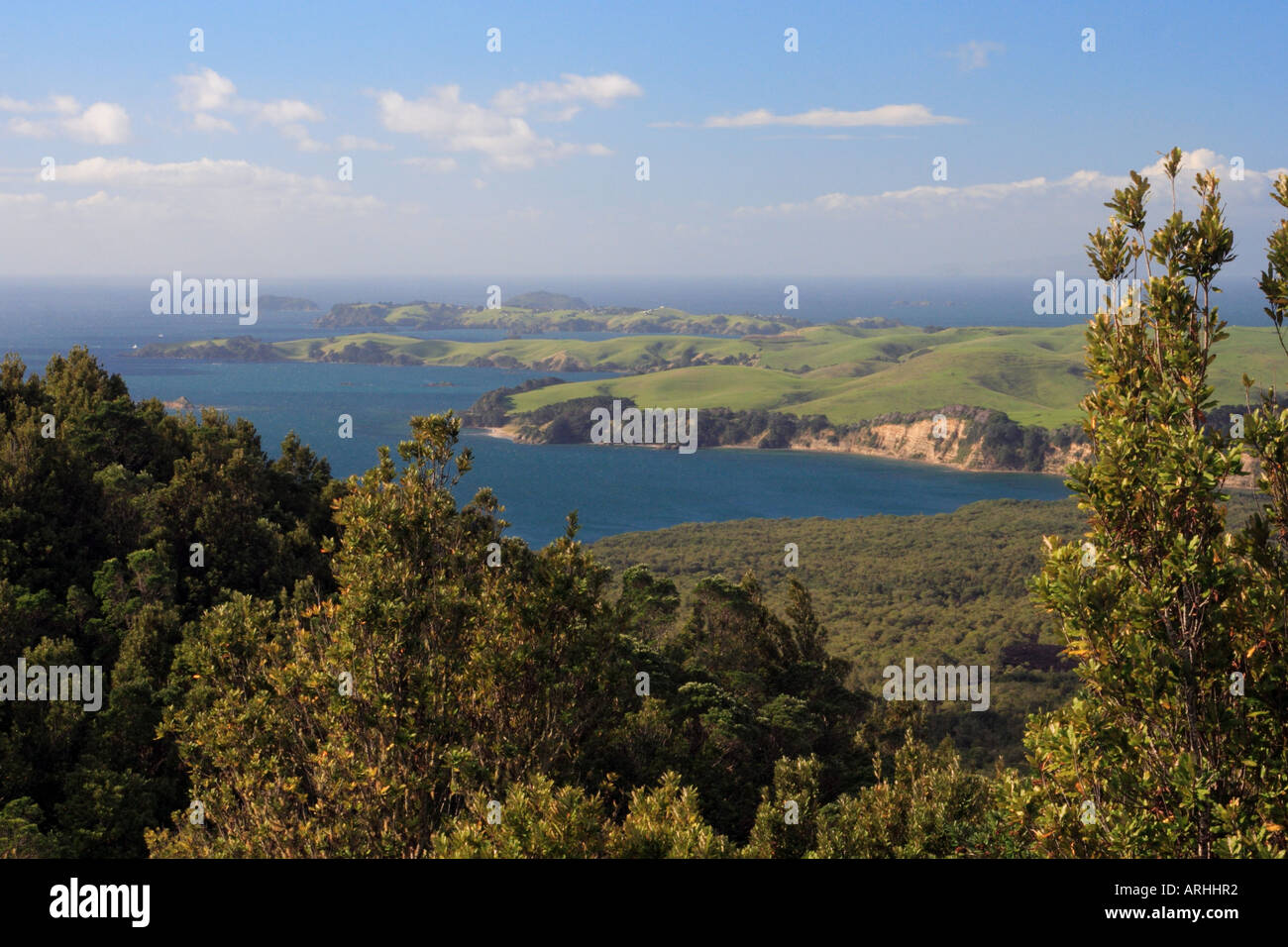 Sea view from the top of Rangitoto, Auckland Stock Photo - Alamy