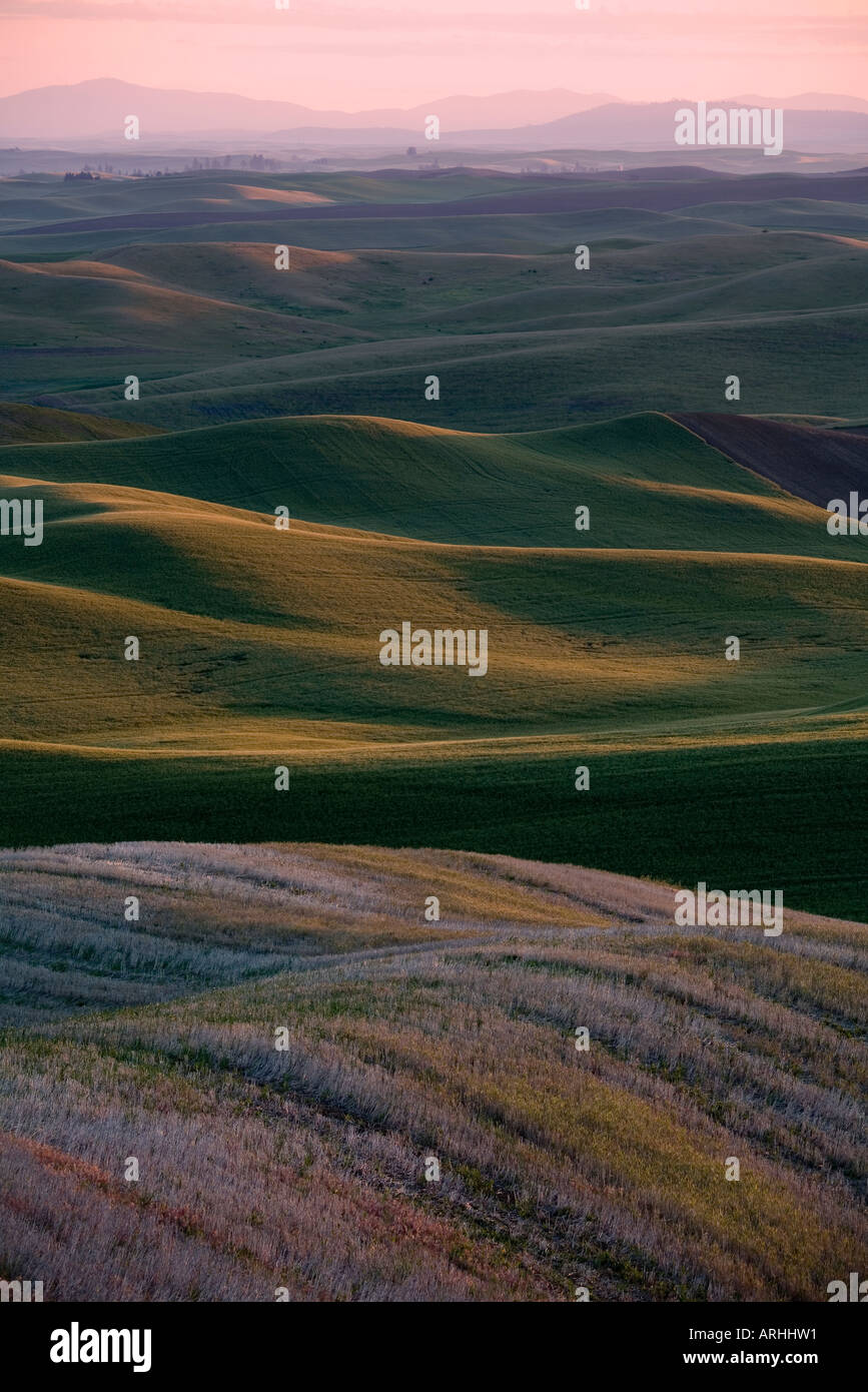 Southern Washington State, USA, farmland in spring, Steptoe Butte State ...