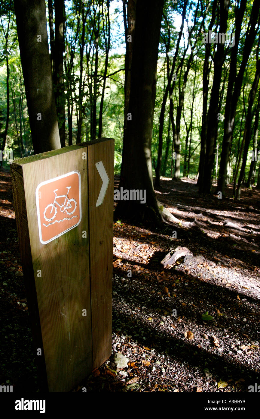 Sign indicating the cycle route Stock Photo - Alamy