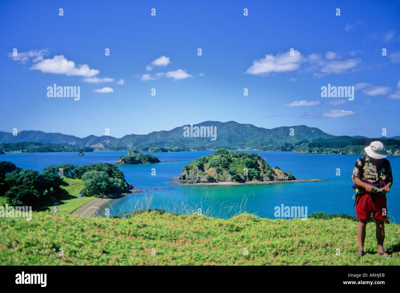 Tourist reads map on Urupukapuka Island, Bay of Islands, New Zealand ...