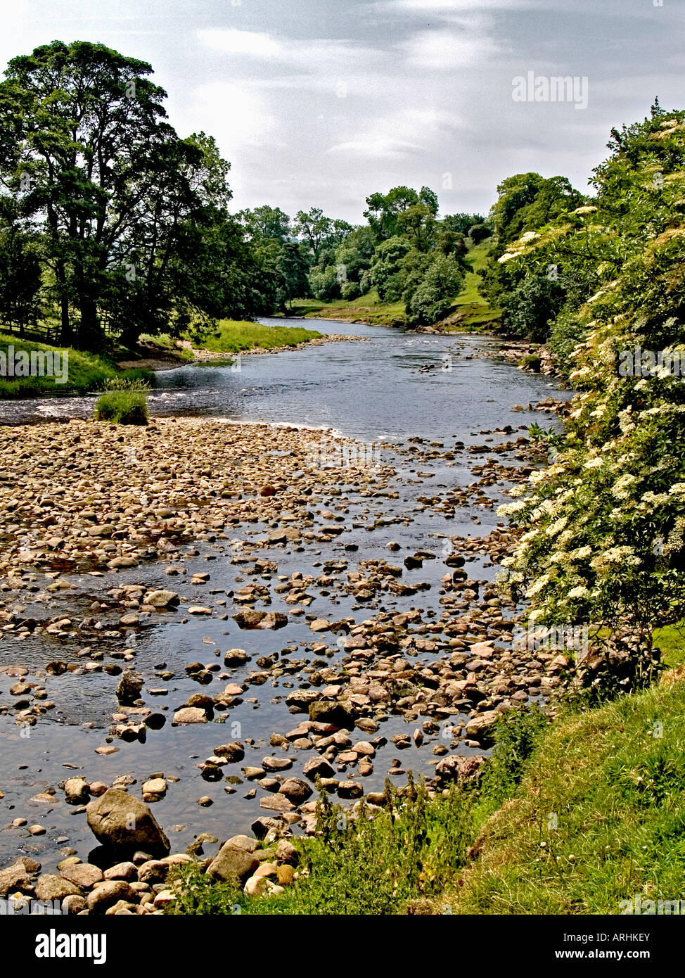 River Wharfe near Bolton Abbey Wharfedale Yorkshire England Stock Photo ...