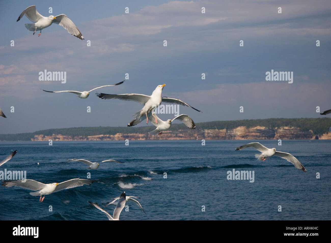 Flight fight hi-res stock photography and images - Alamy