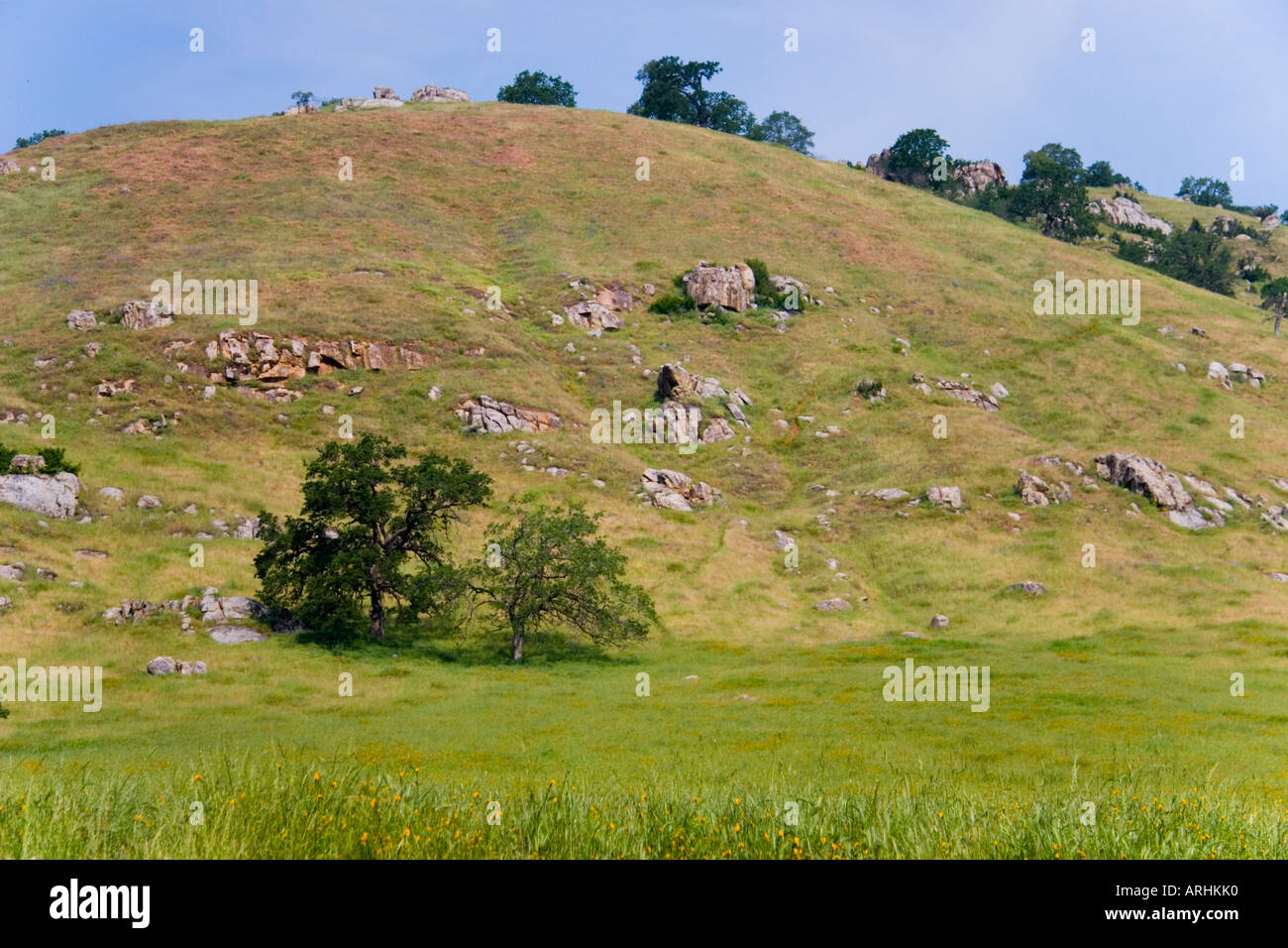Bald mountain california hi-res stock photography and images - Alamy