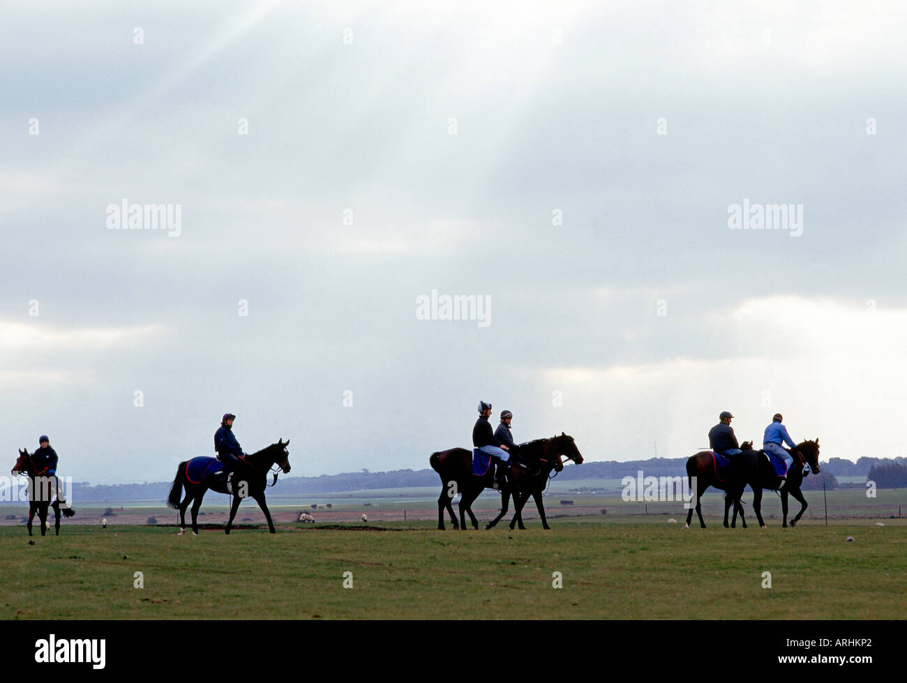 Horses exercise at the Curragh Ireland s flat racing venue situated in ...