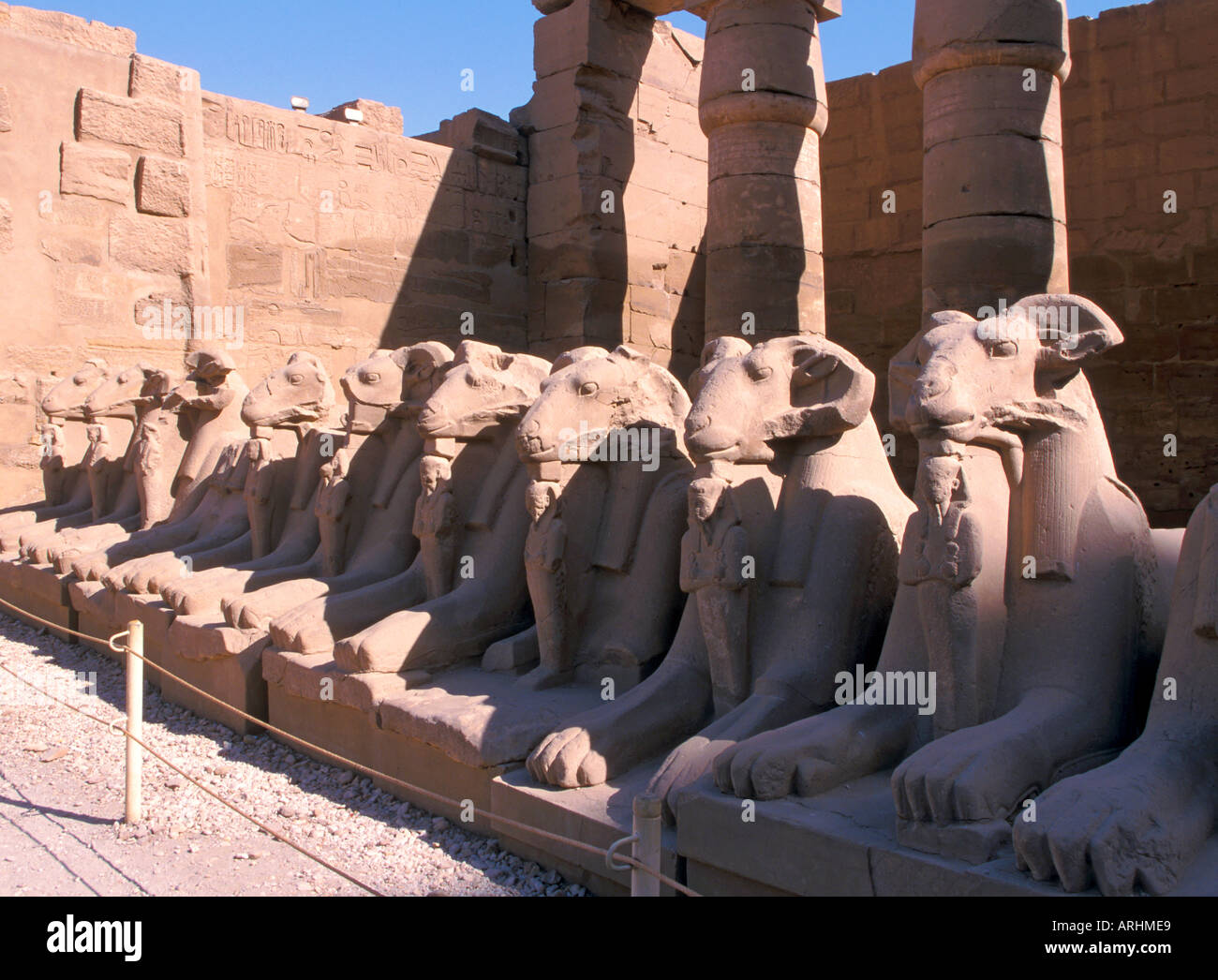 Sphinxes Temple of Karnak Egypt Stock Photo - Alamy