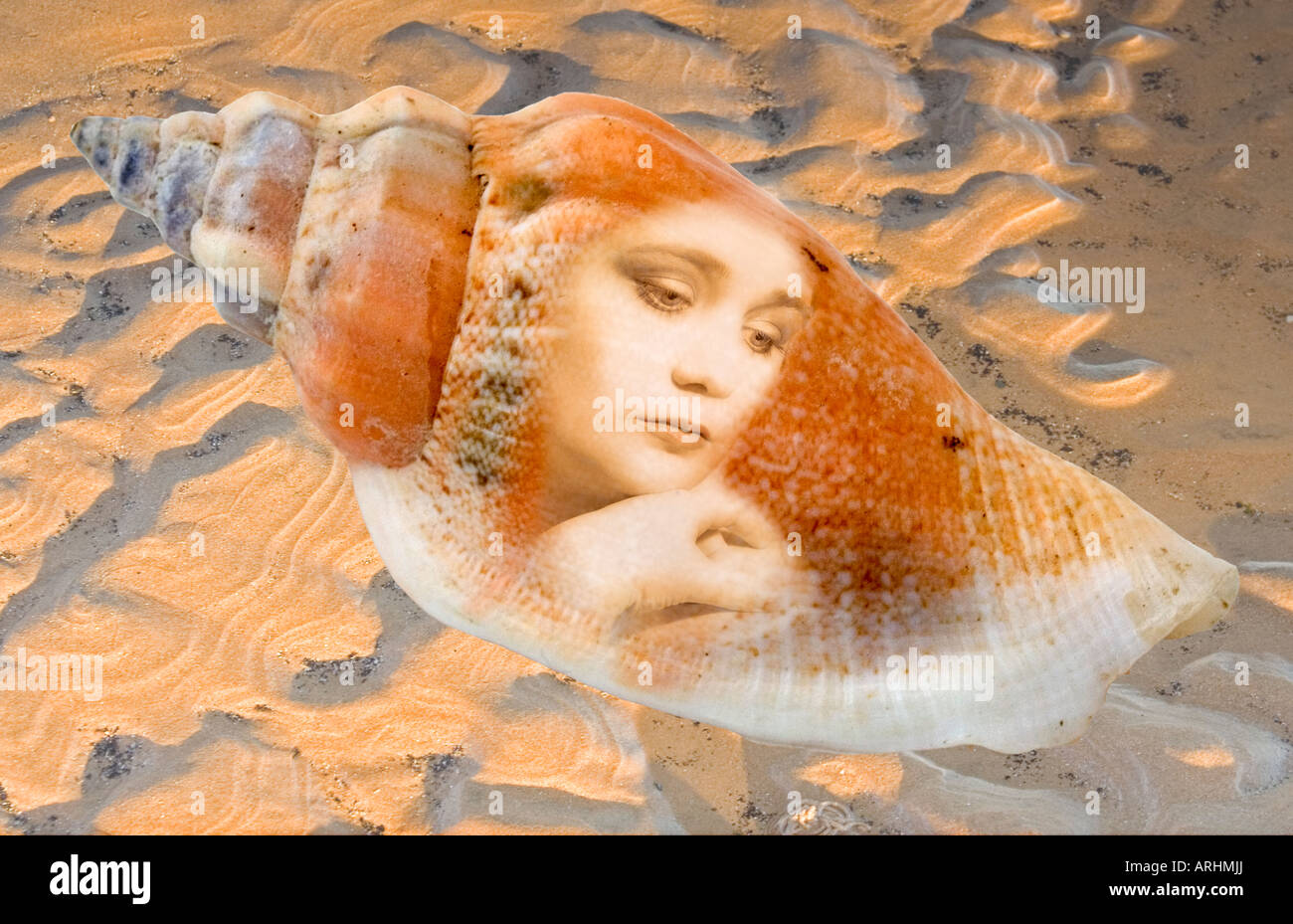 Sea Shell Spirit Stock Photo - Alamy