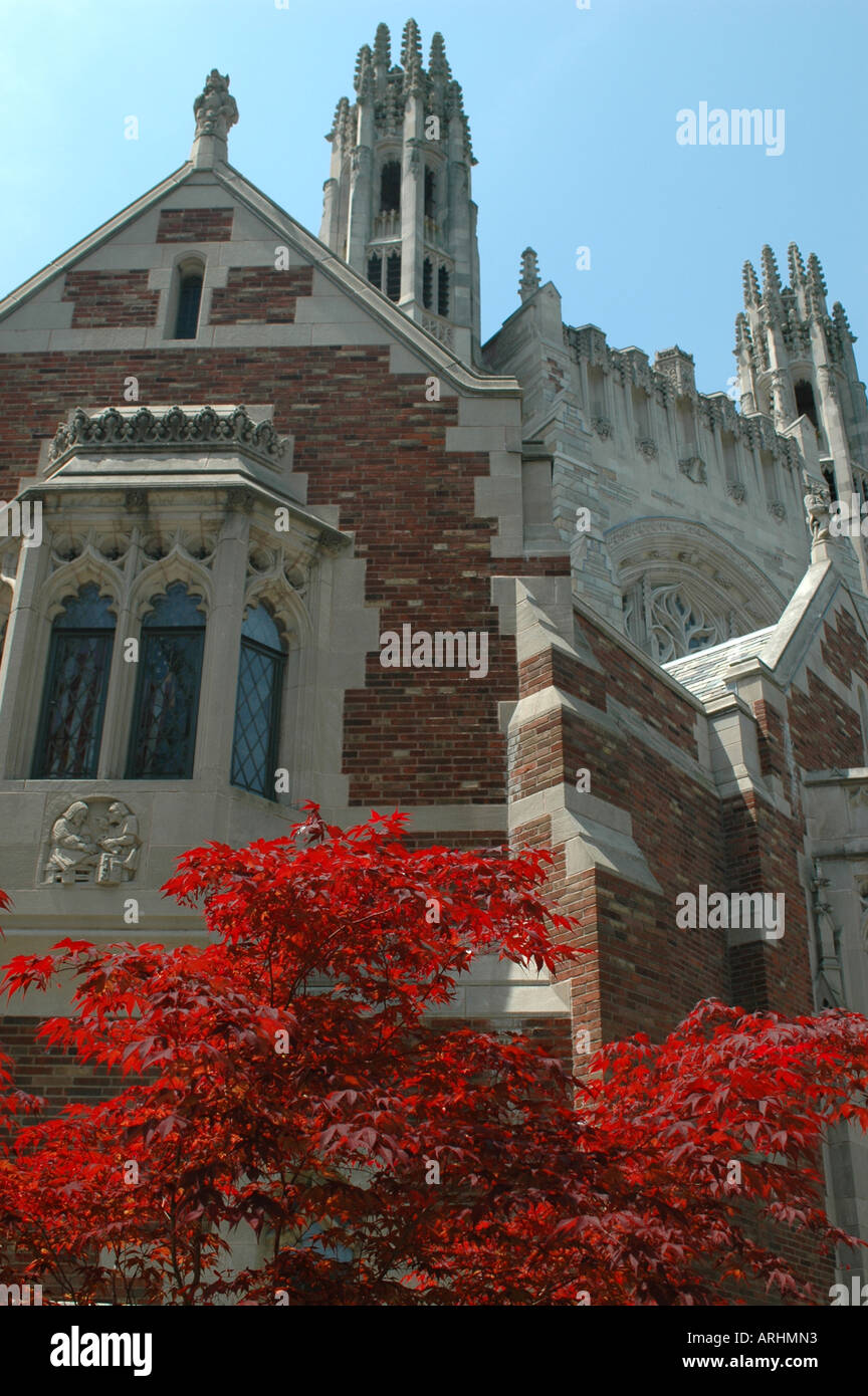Sterling law building yale hi-res stock photography and images - Alamy