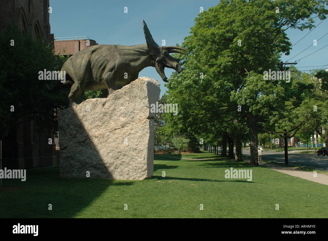 Statue of Torosaurus Latus in front of the Yale Peabody Museum of ...