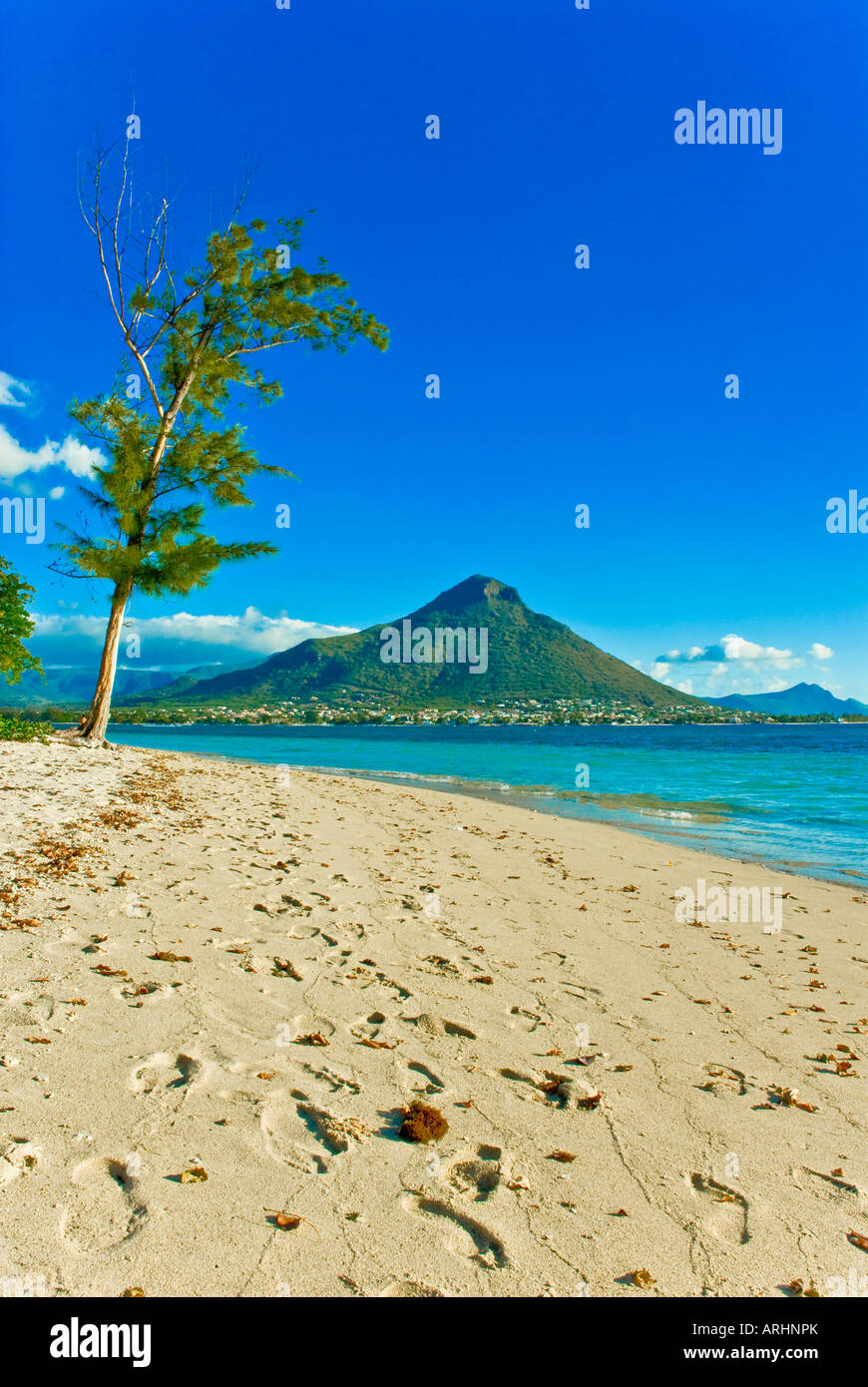 Beach of Mauritius with tree, Strand von Mauritius mit Baum Stock Photo ...