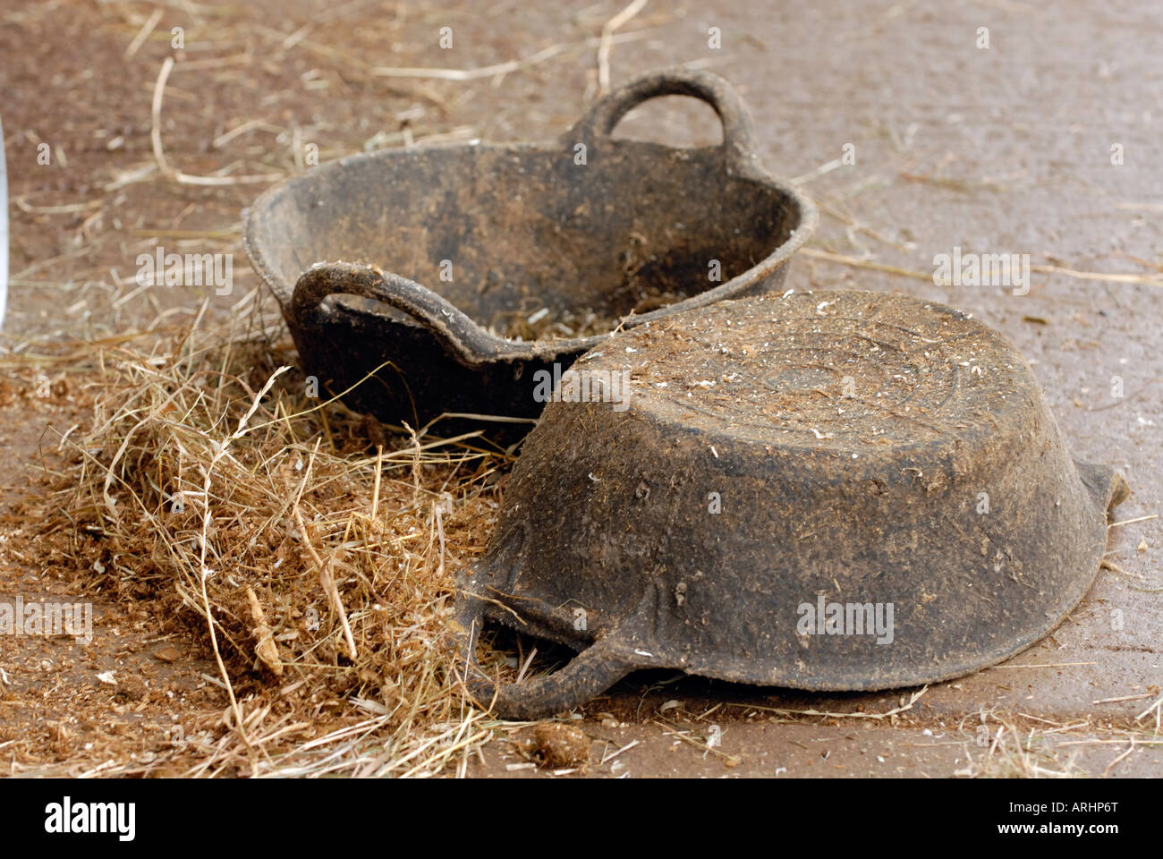 Mucking out horse stable High Resolution Stock Photography and Images ...