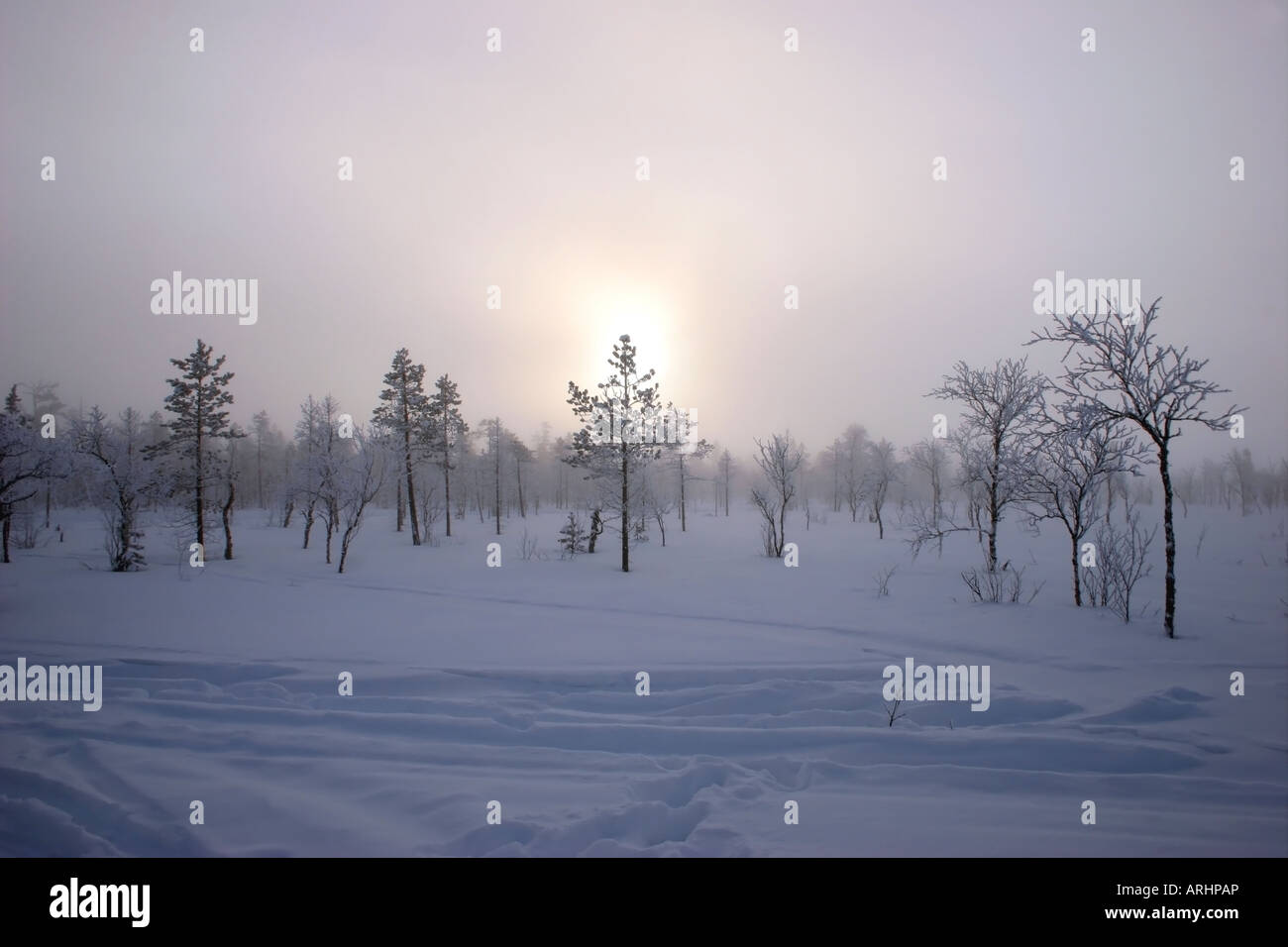 A Low Winter Sun Shining Through a Fog of Ice Crystals Lapland Northern ...