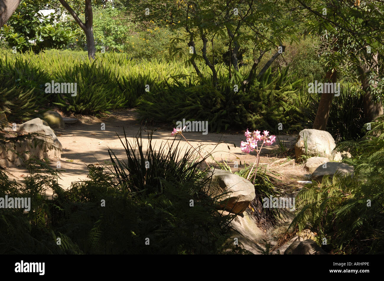 Alice Keck Park Stock Photo - Alamy