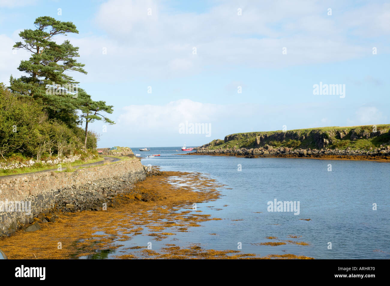 Isle of Mull Croig harbour north west of Mull with fishing and research ...