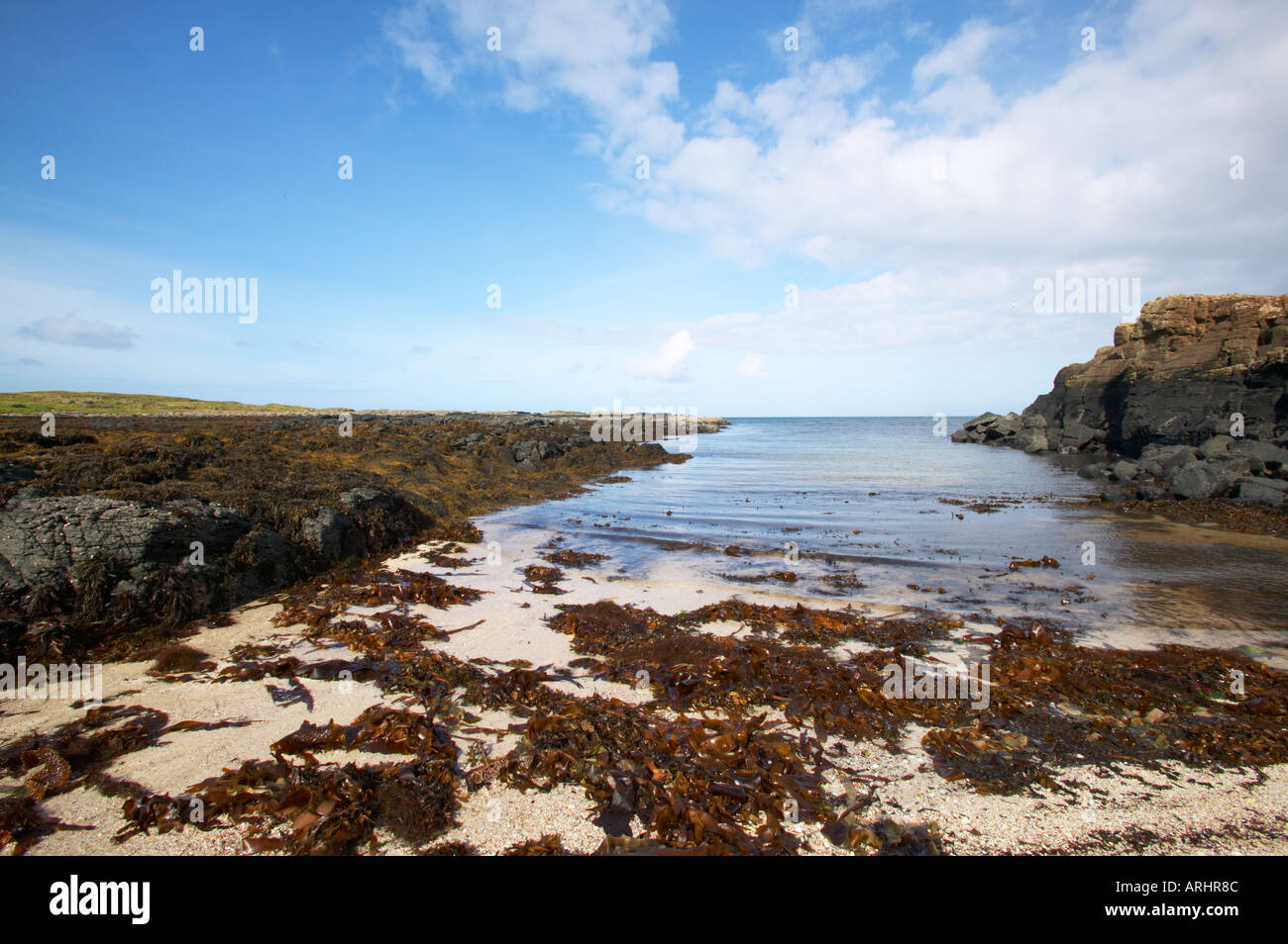 Isle of Mull Freya shell sand beach near Croig Stock Photo - Alamy
