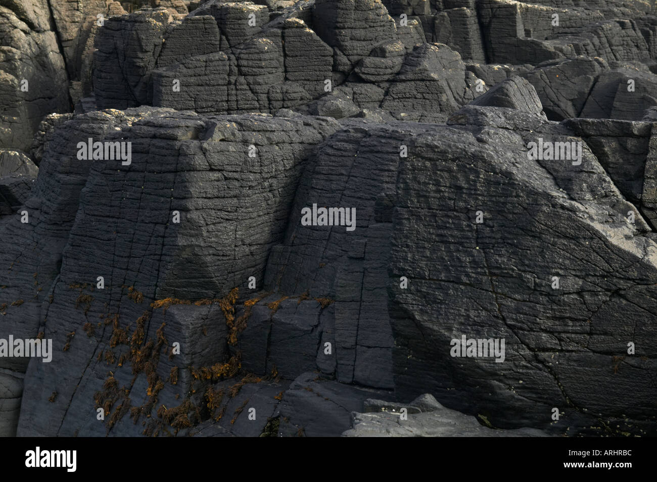 Isle of Mull Laggan Bay overlooking Ulva black basalt rocks and seaweed ...