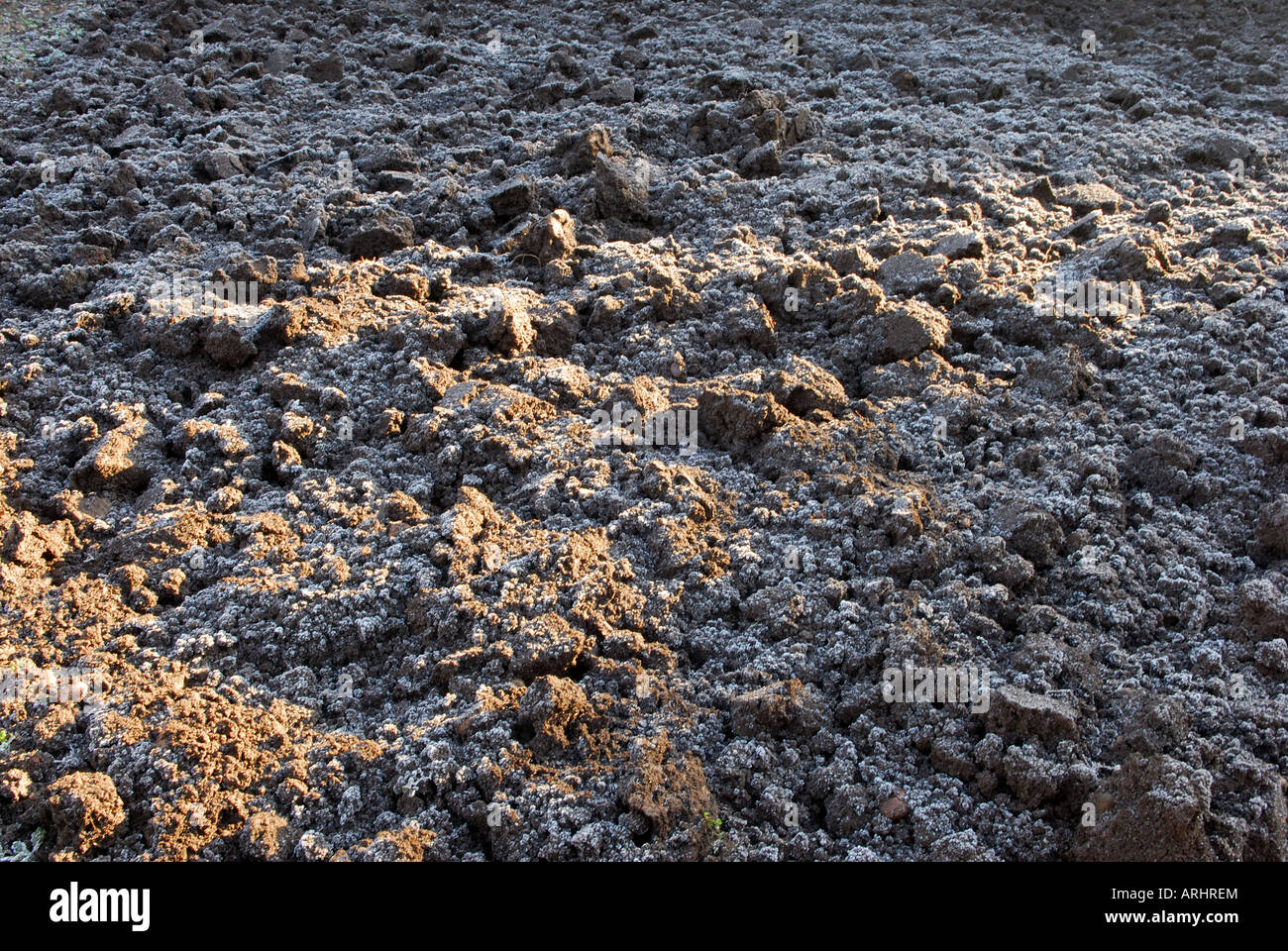 Frost on soil Stock Photo - Alamy