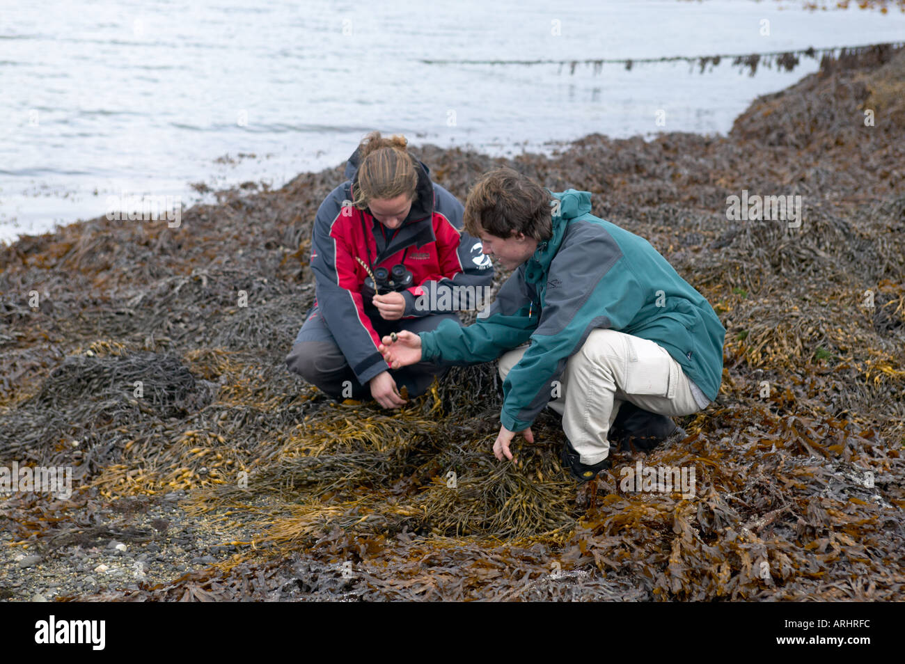 Scientists to sea hi-res stock photography and images - Alamy