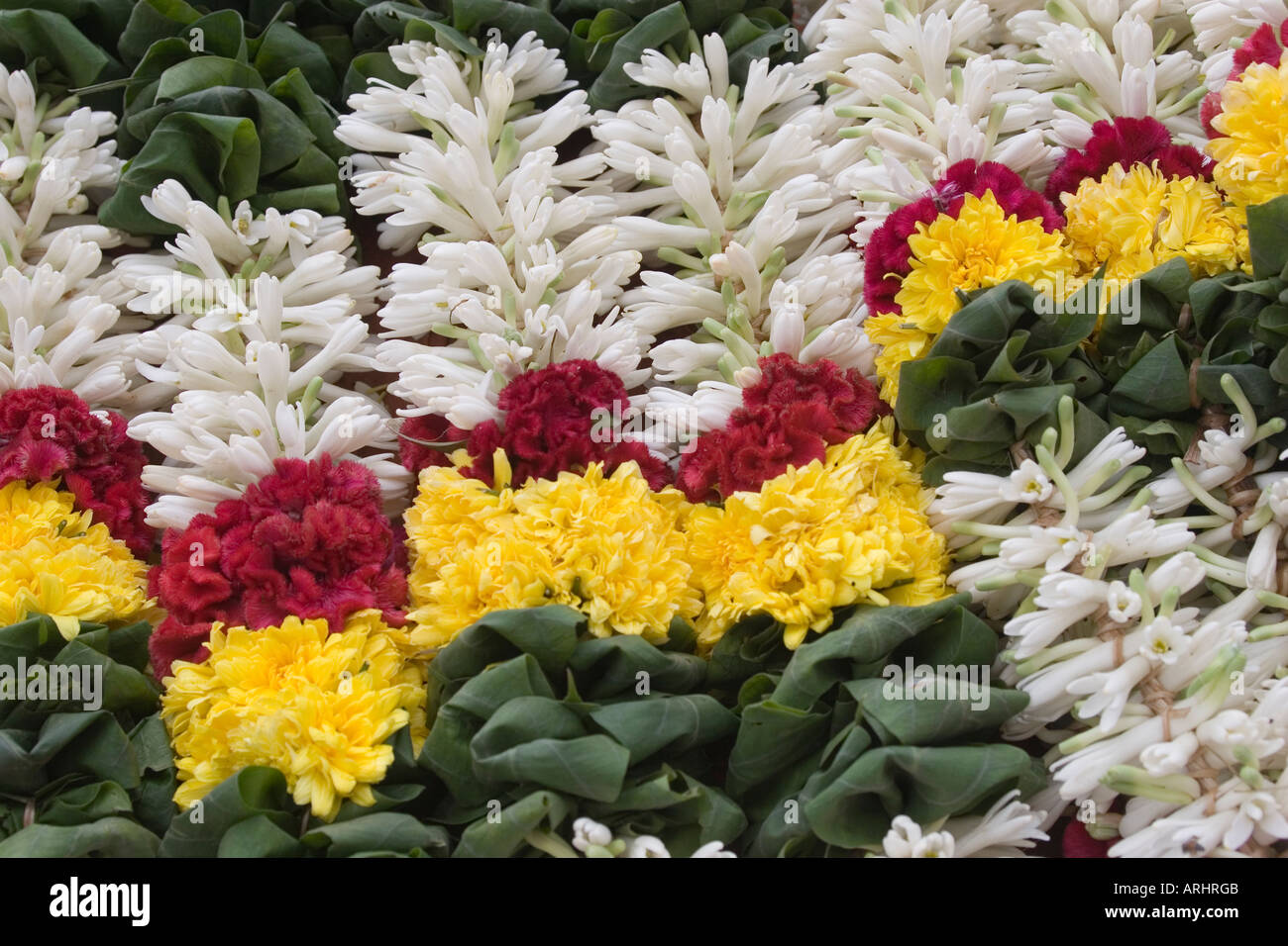 Pondicherry india and festival hi-res stock photography and images - Alamy