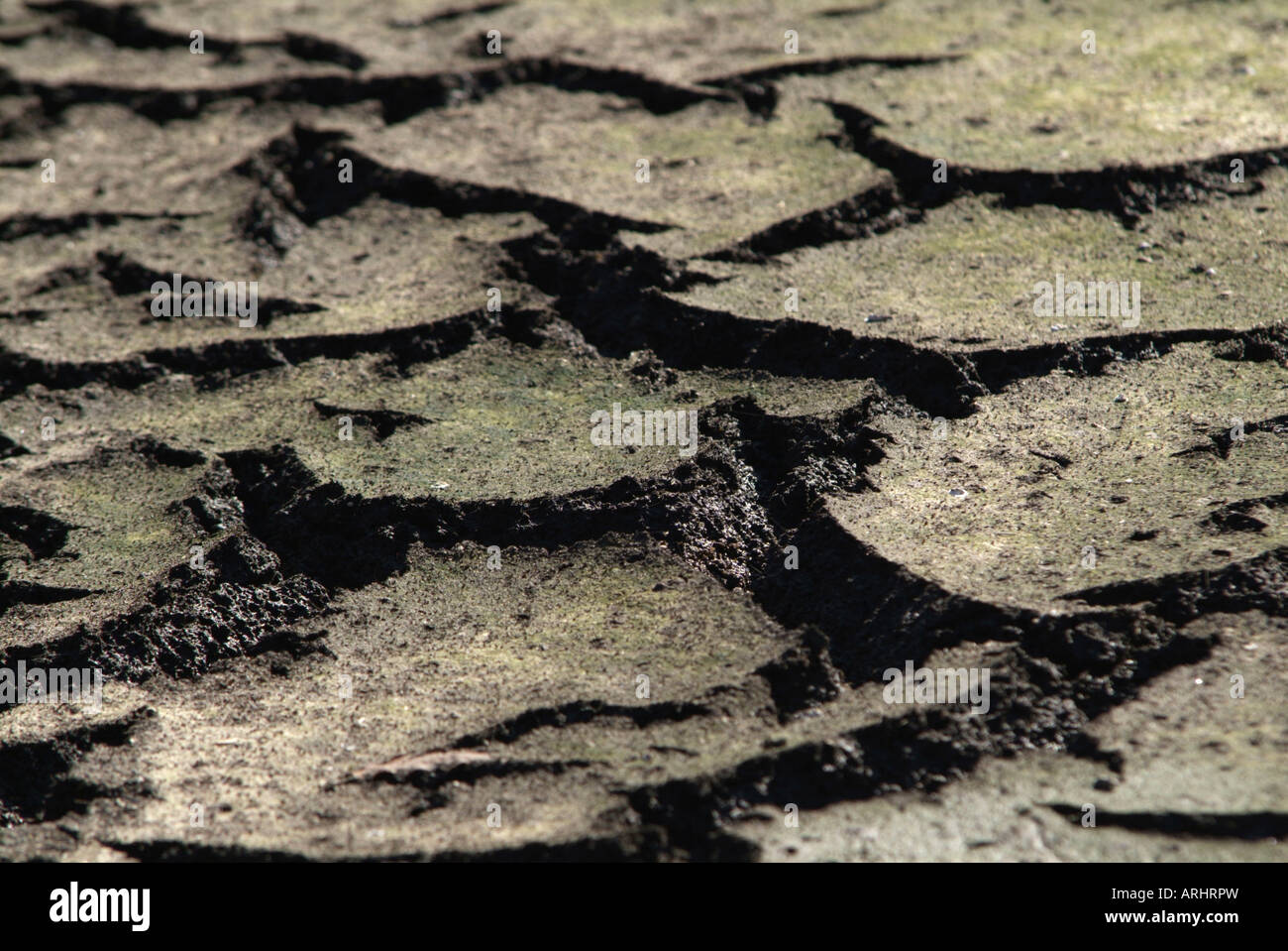 Sludge drying hi-res stock photography and images - Alamy