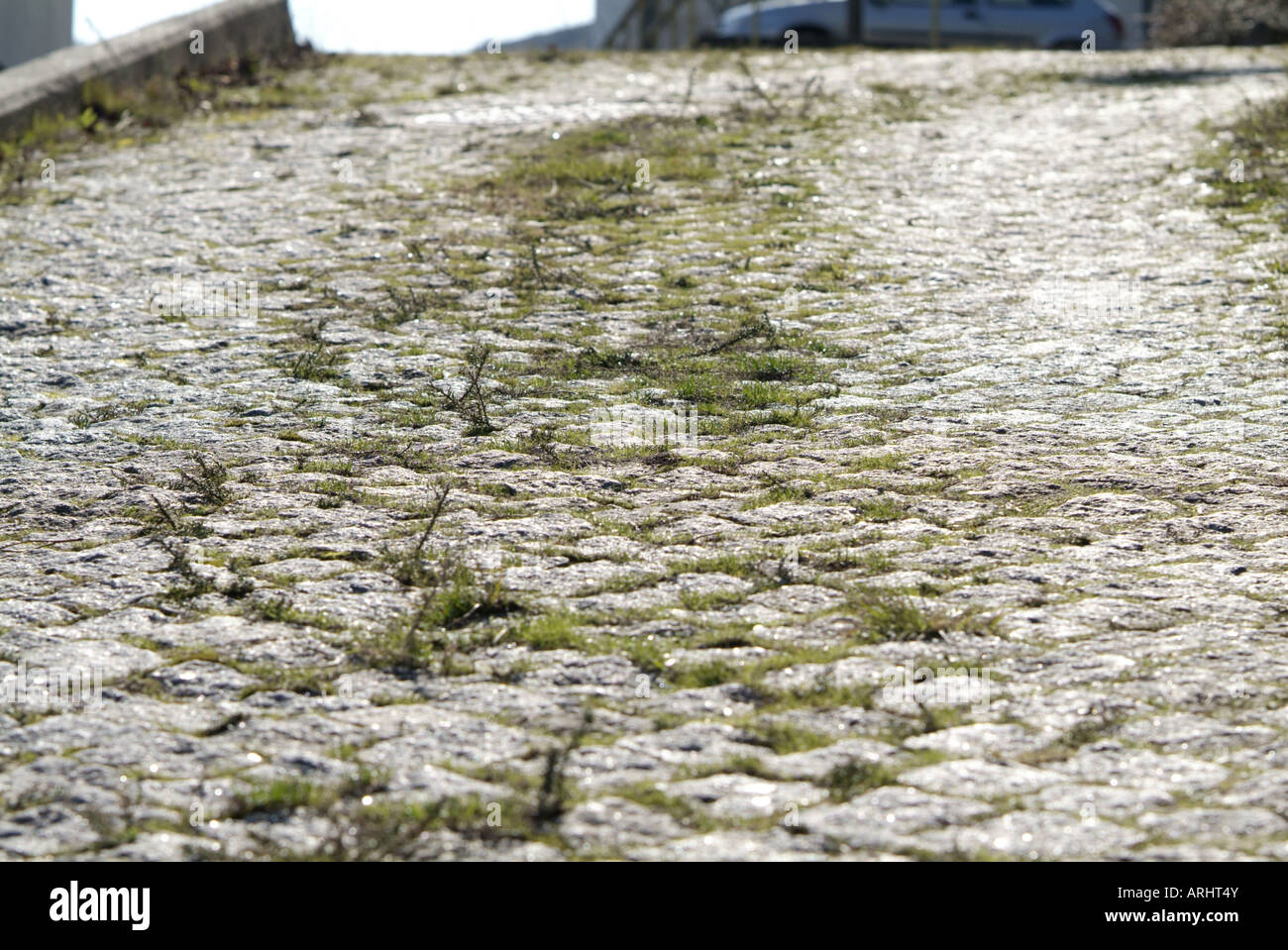detail of cobble stone drive way Stock Photo - Alamy