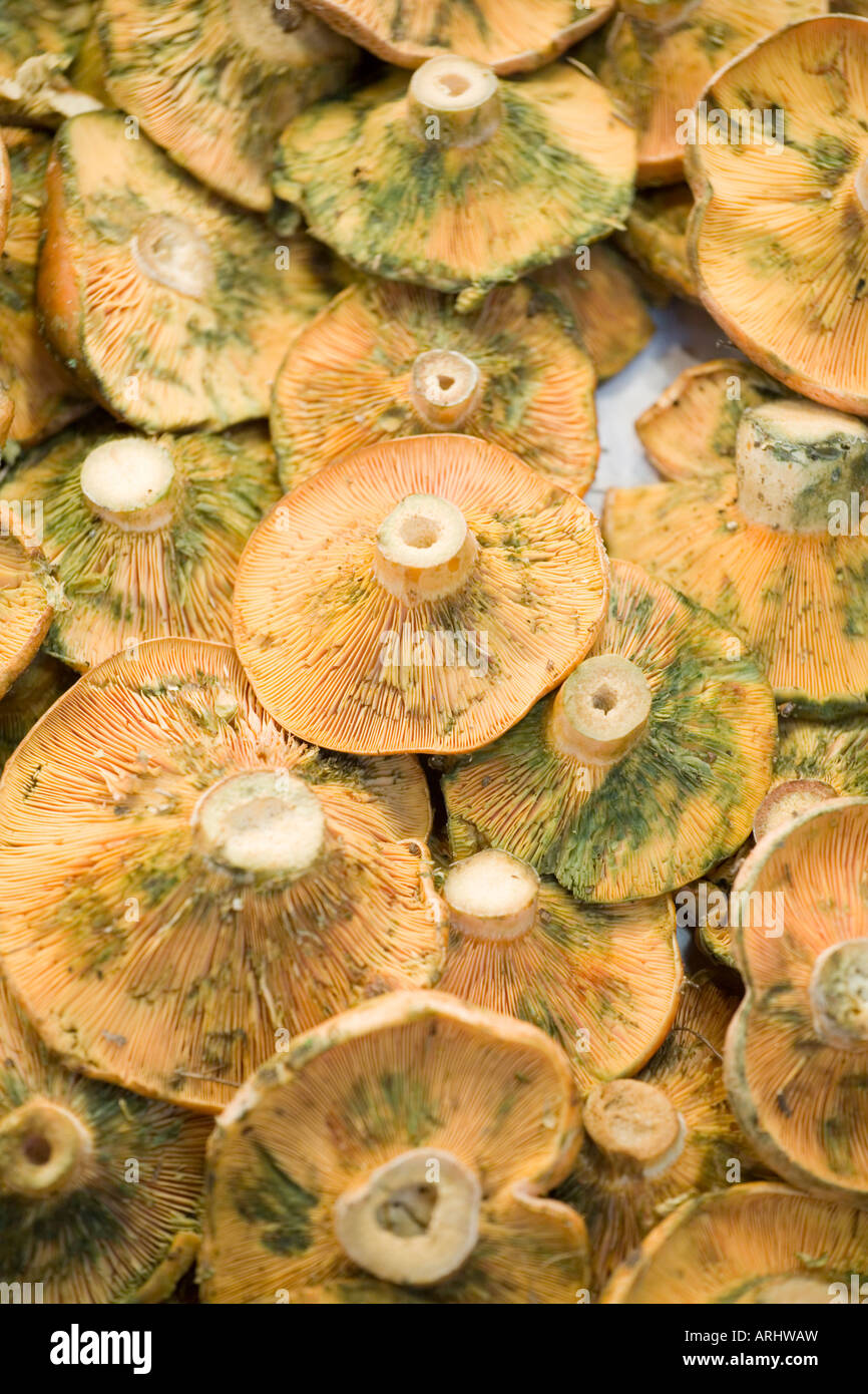 rovellons rovellones niscalos en la boqueria market Stock Photo - Alamy