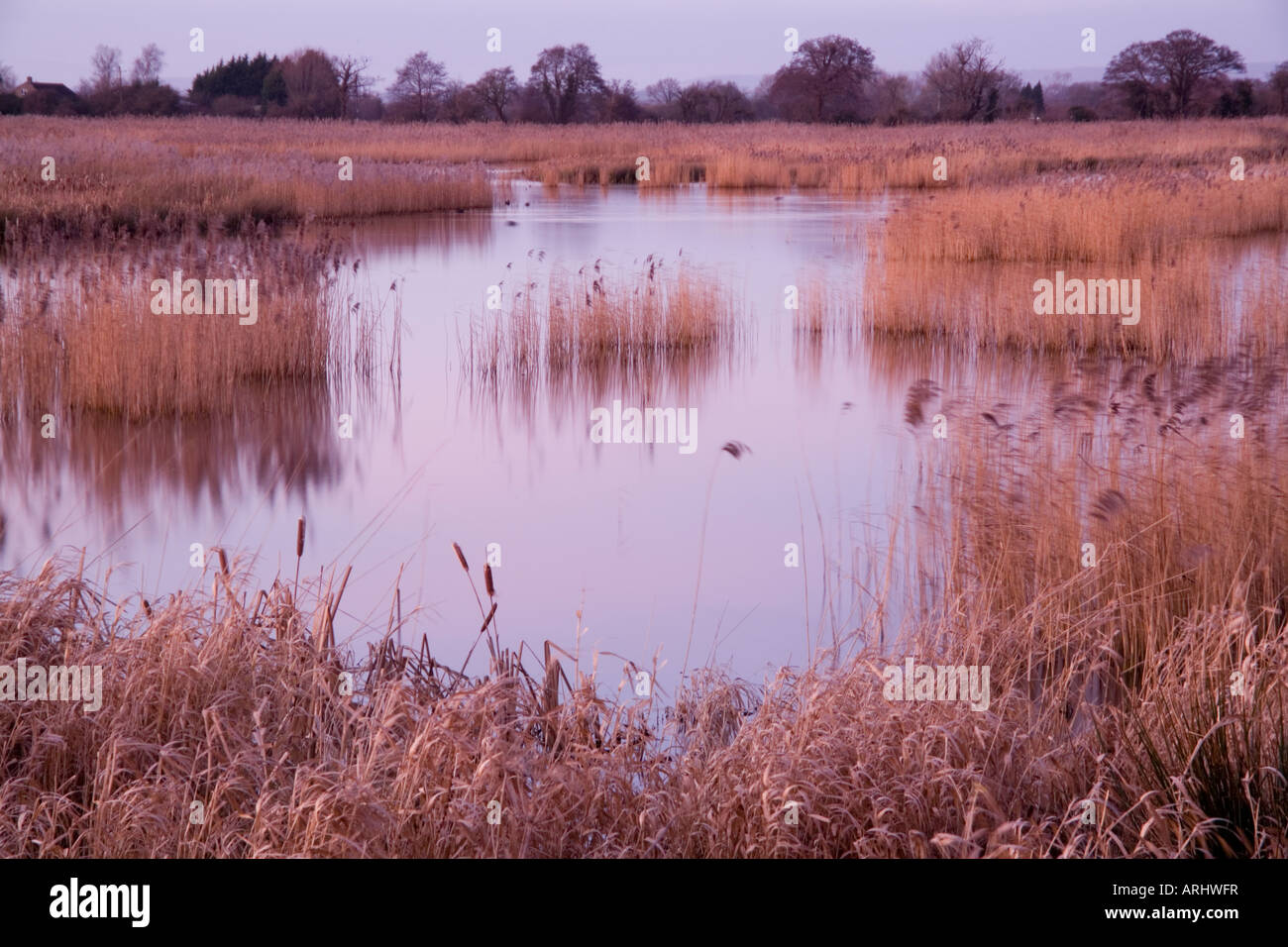 Winter evening at the disused peat workings of the Avalon Marshes near ...
