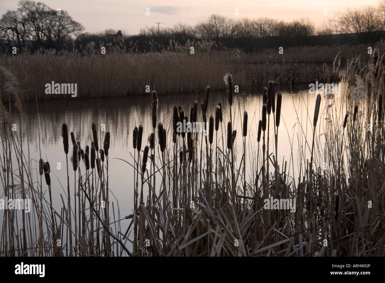 Winter evening at the disused peat workings Avalon Marshes near ...