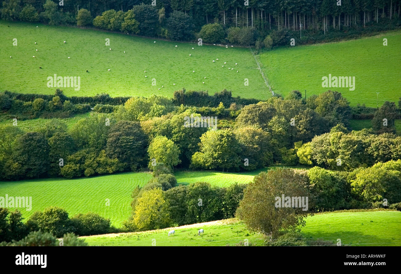 Attractive welsh countryside hi-res stock photography and images - Alamy