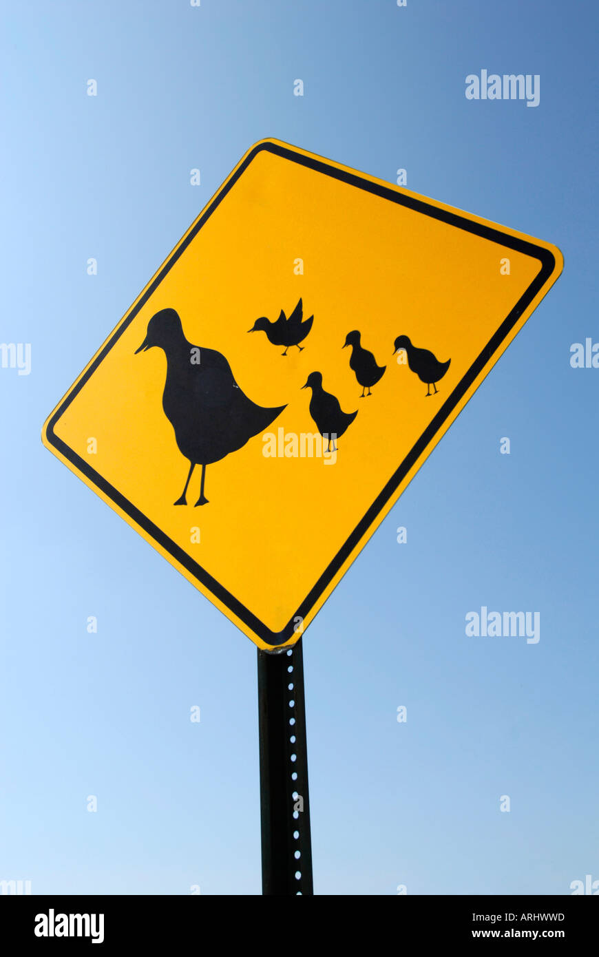 Designating hi-res stock photography and images - Alamy