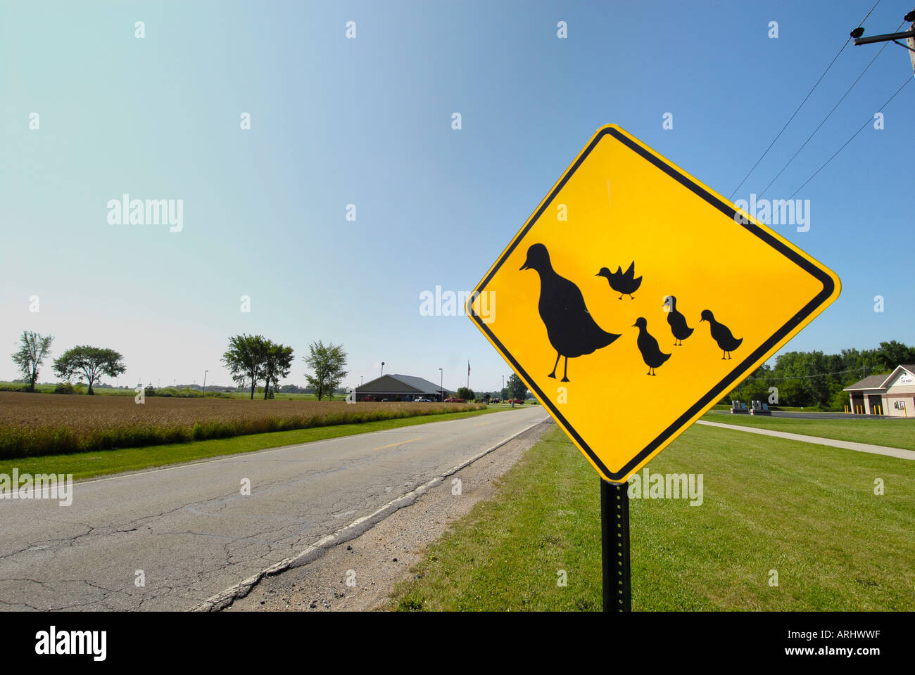 Warning signs duck crossing hi-res stock photography and images - Alamy