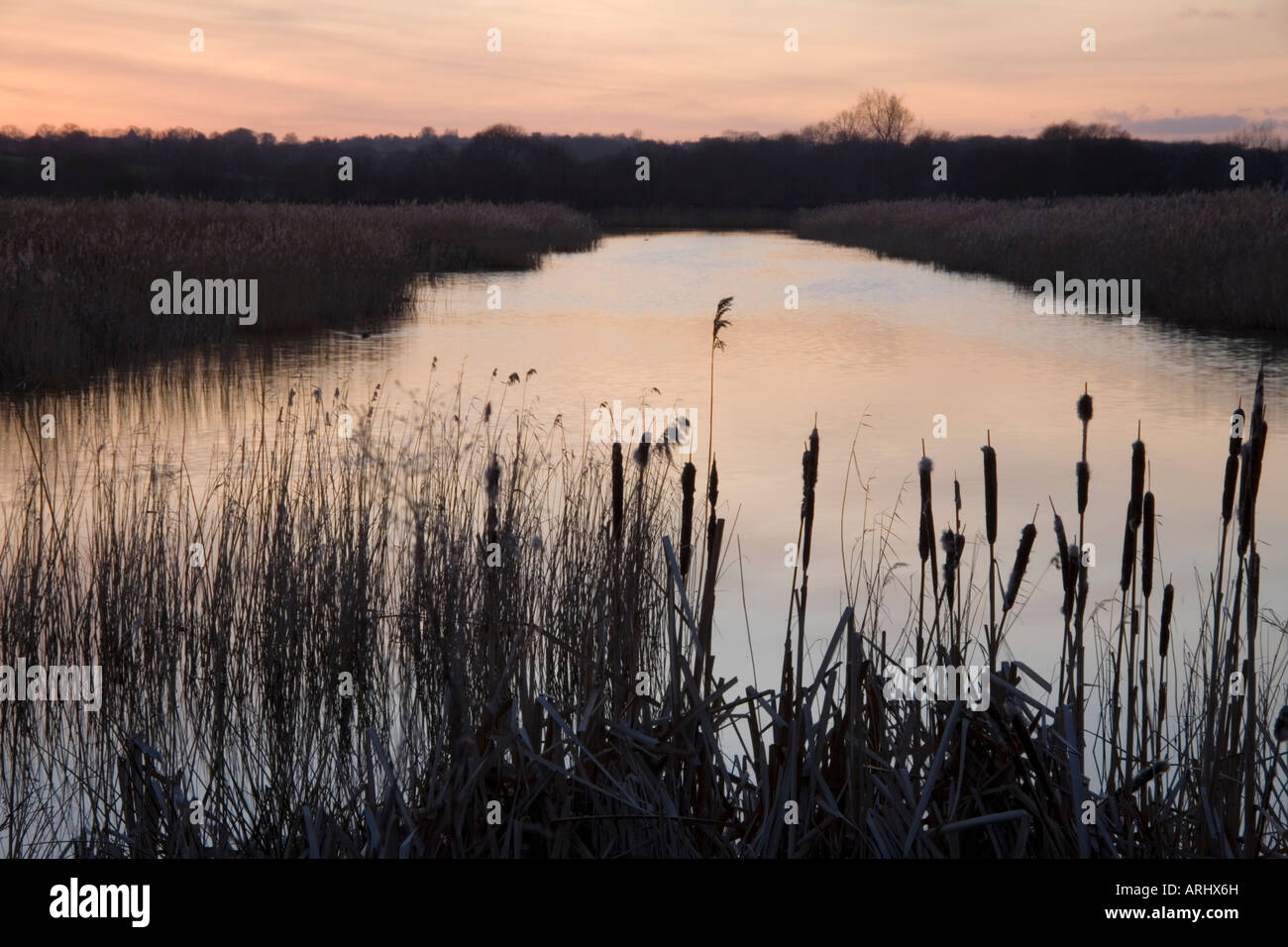 Winter evening at the disused peat workings of the Avalon Marshes near ...