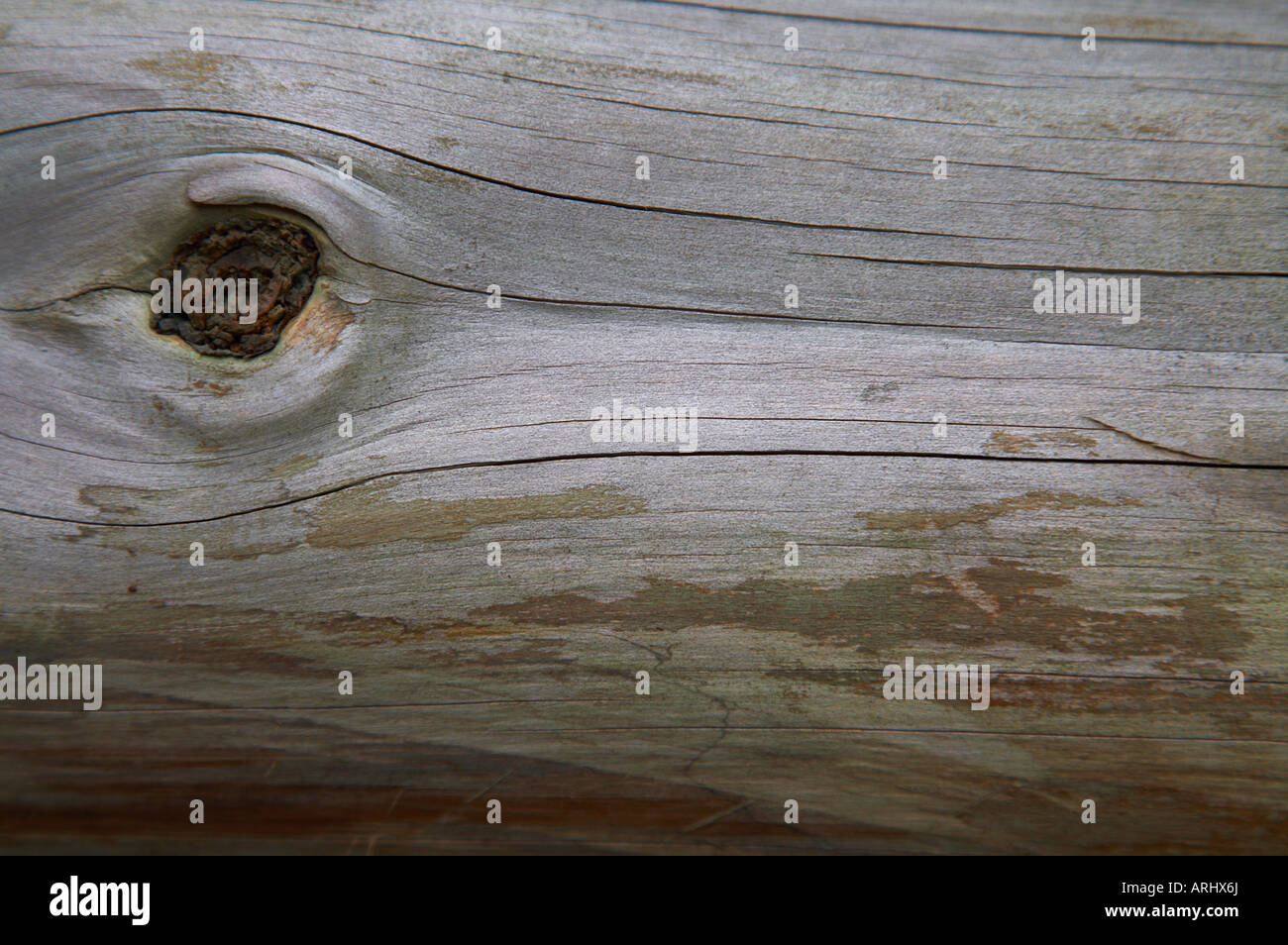 Closeup of a log, showing lines and patterns Stock Photo - Alamy