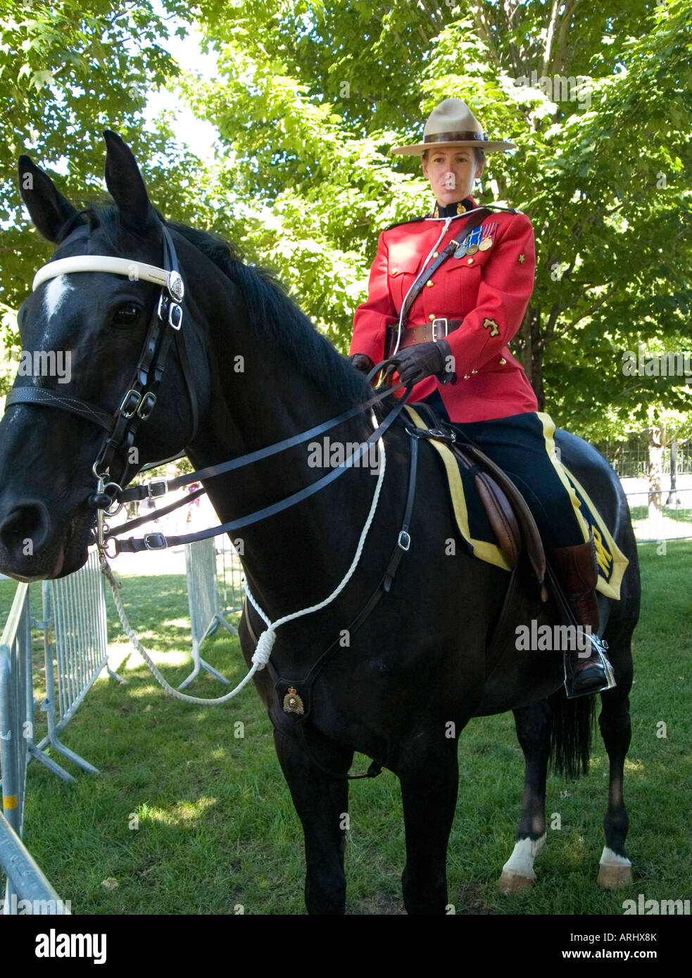 A Canadian Mountie on horseback in the Capital City of Ottawa, Ontario ...