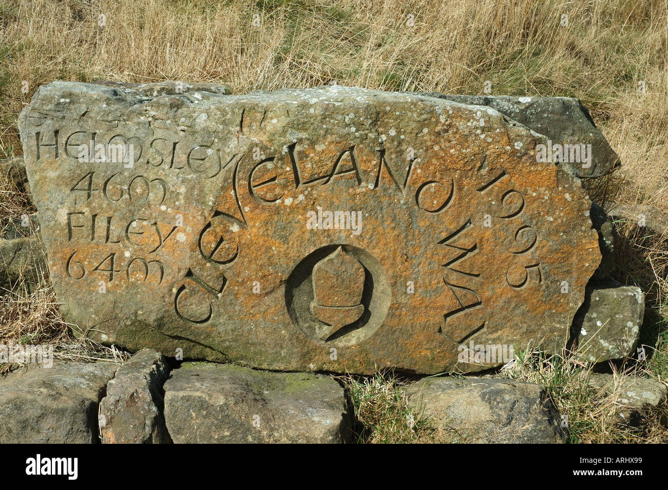 Cleveland Way marker stone at Roseberry Topping North Yorks Stock Photo ...