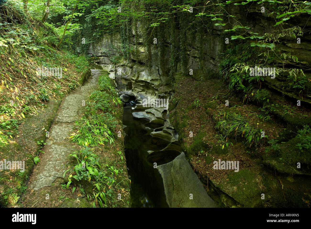 How Stean Gorge Pateley Bridge Yorkshire Dales National Park Stock ...