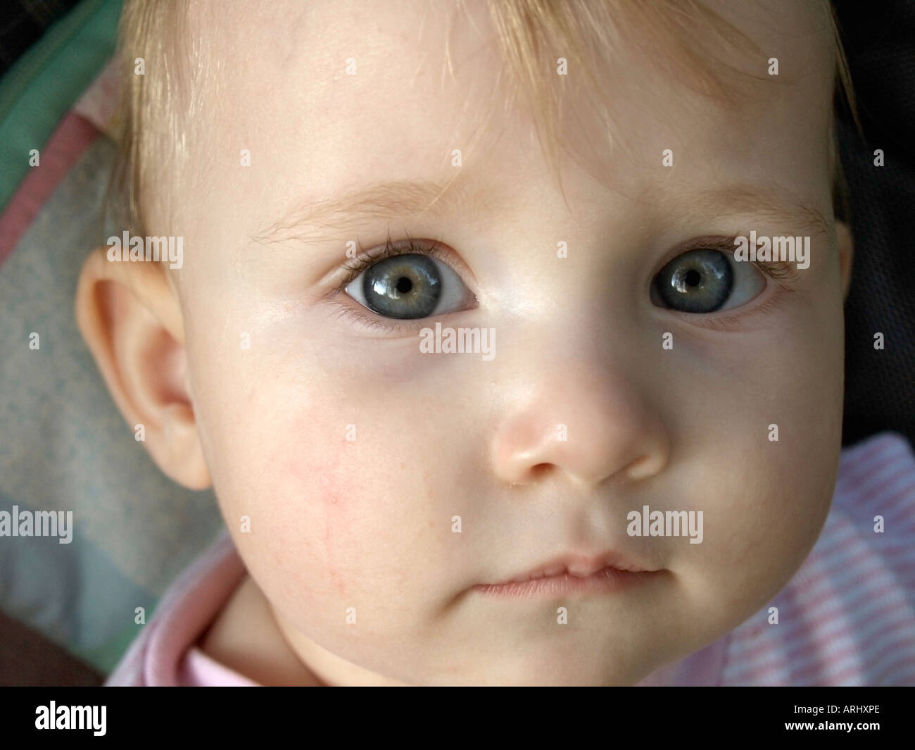 portrait of a baby Stock Photo - Alamy