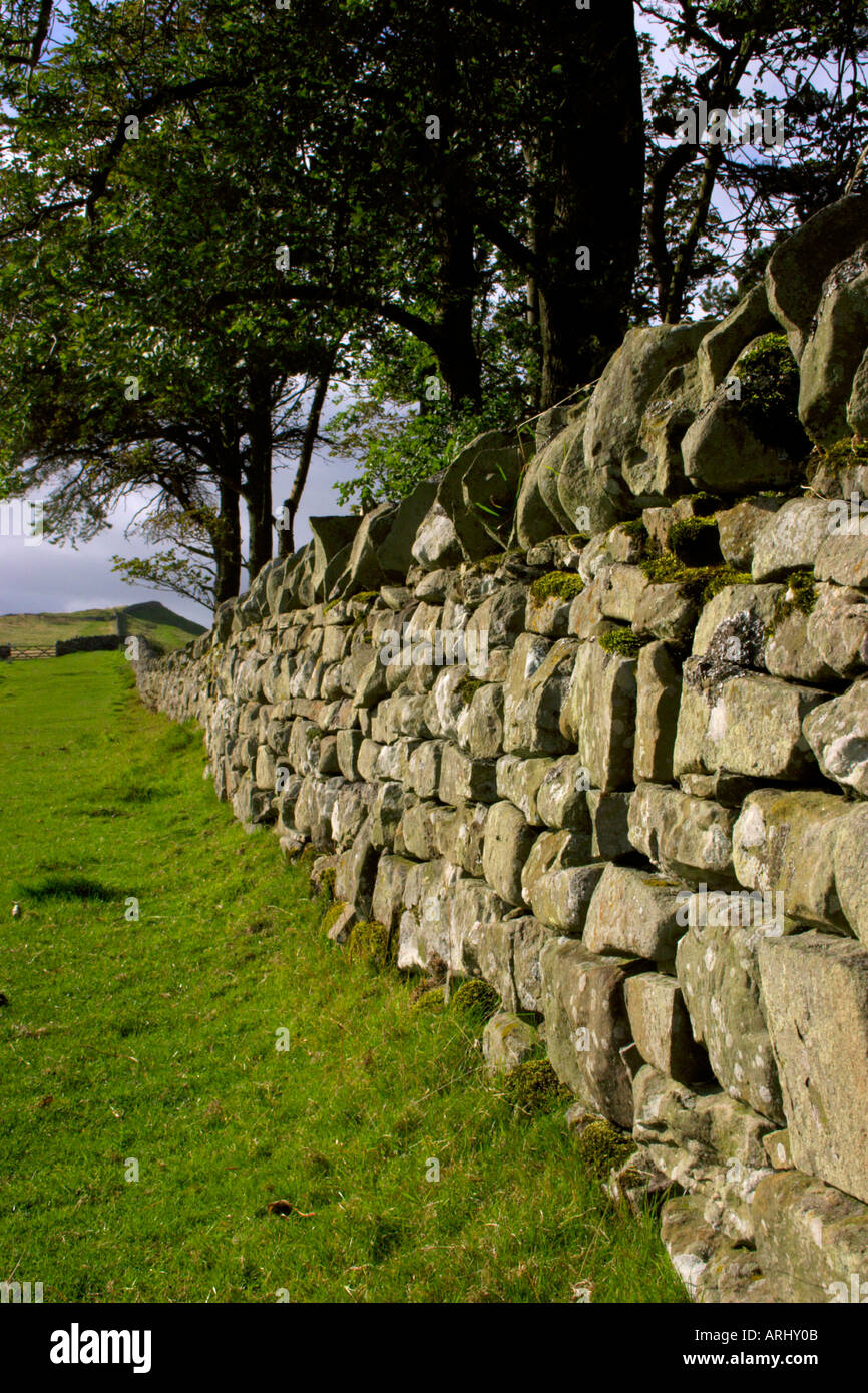 Hadrian's Wall UK Stock Photo - Alamy