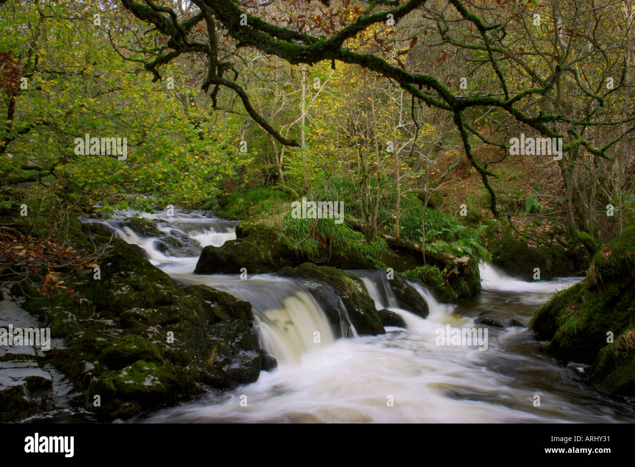 Small waterfall Lake District UK Stock Photo - Alamy