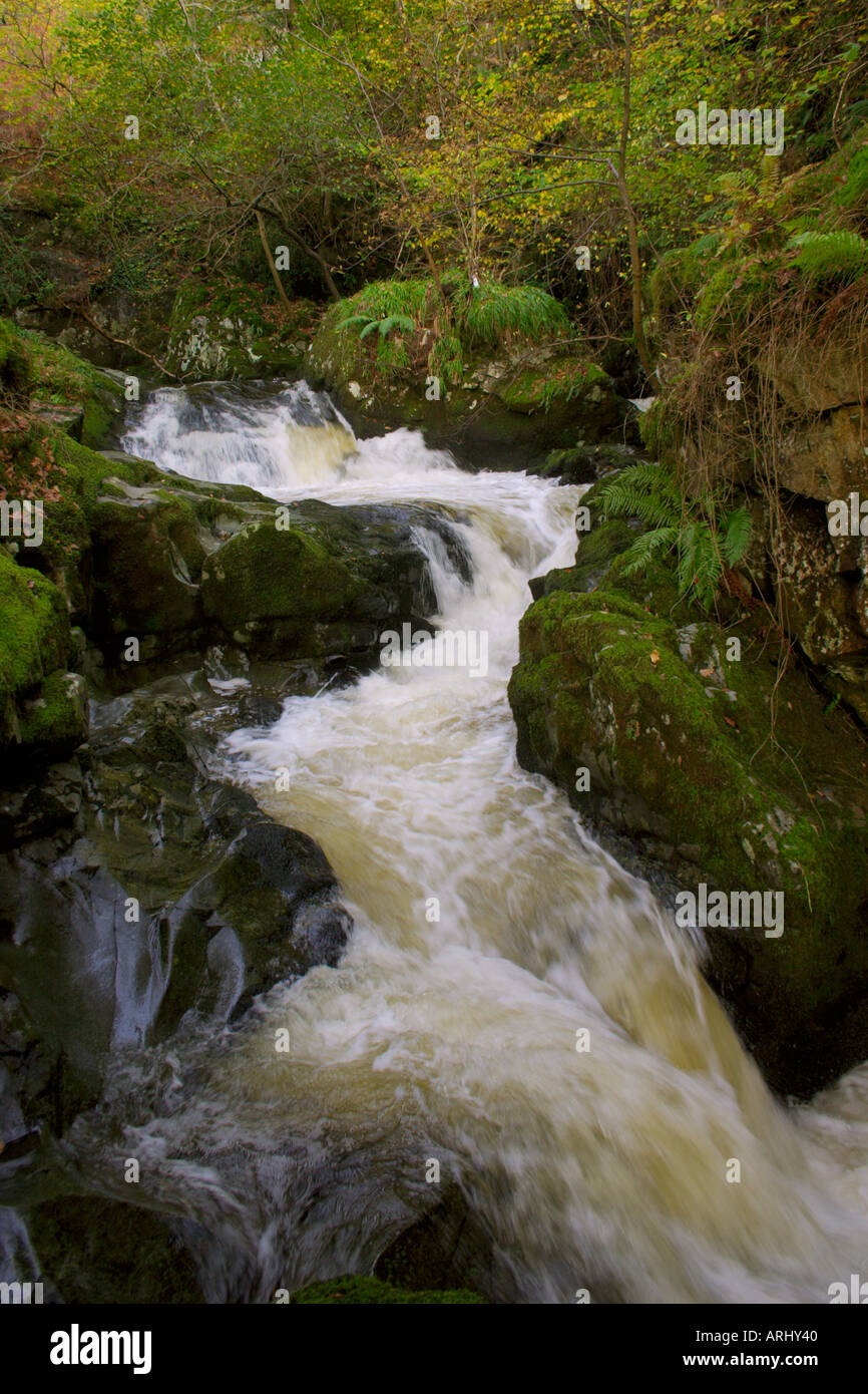 Upland stream Lake District UK Stock Photo - Alamy