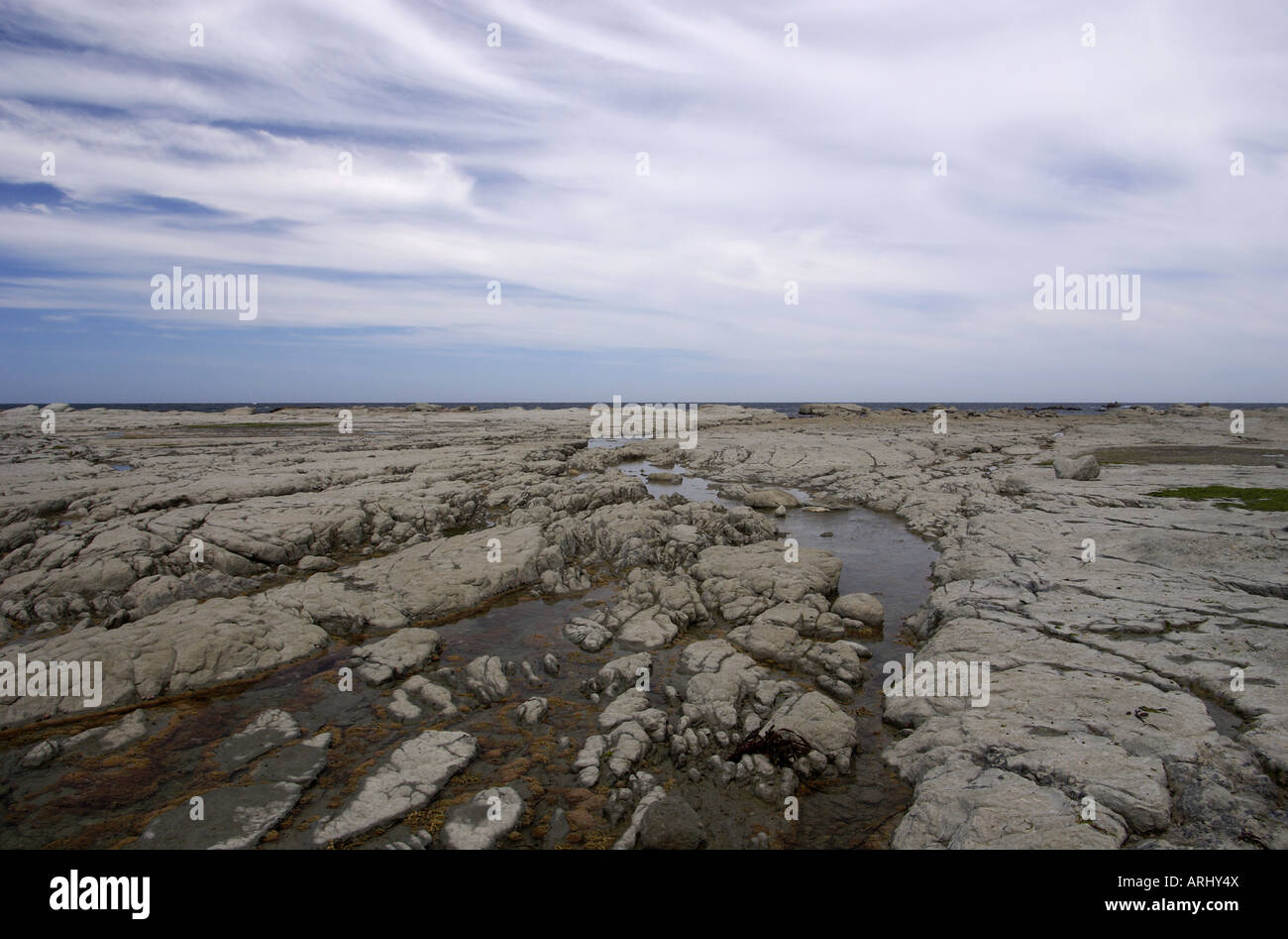 Limestone pavement on shore of Kaikoura Peninsula Stock Photo - Alamy