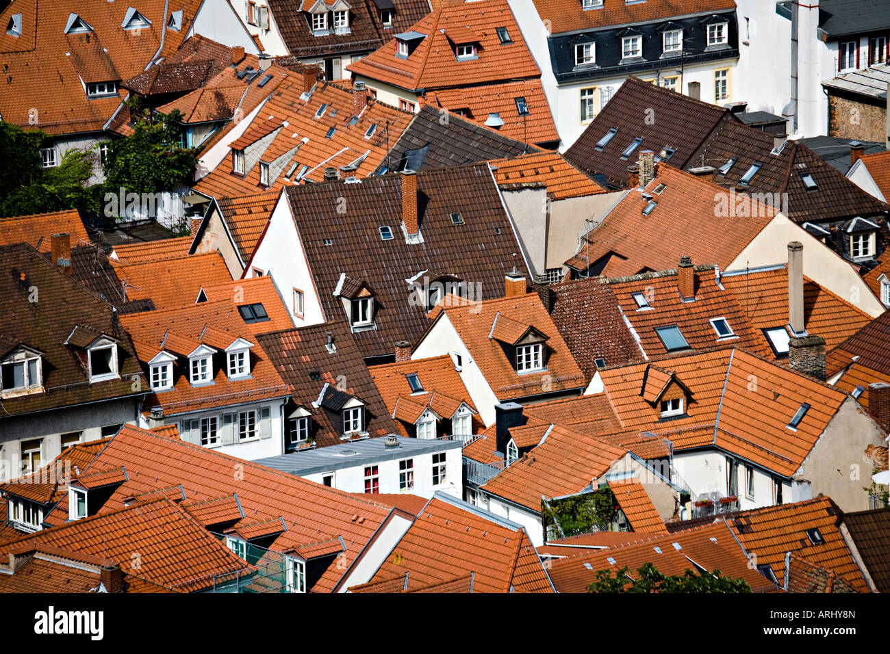 Rooftops with red and brown tiles Heidelberg Germany Stock Photo - Alamy