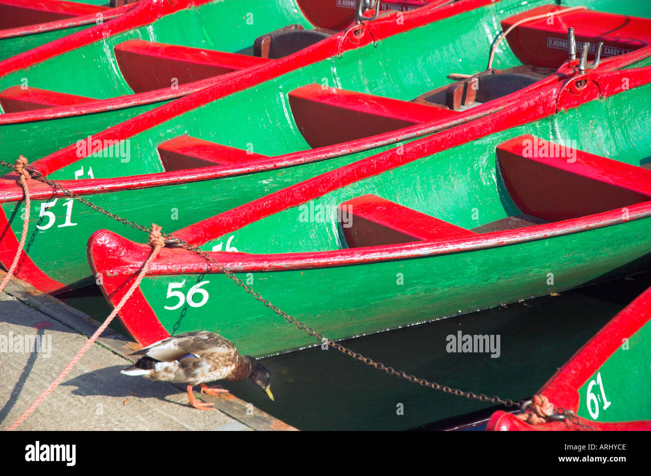 Rowin the boat hi-res stock photography and images - Alamy