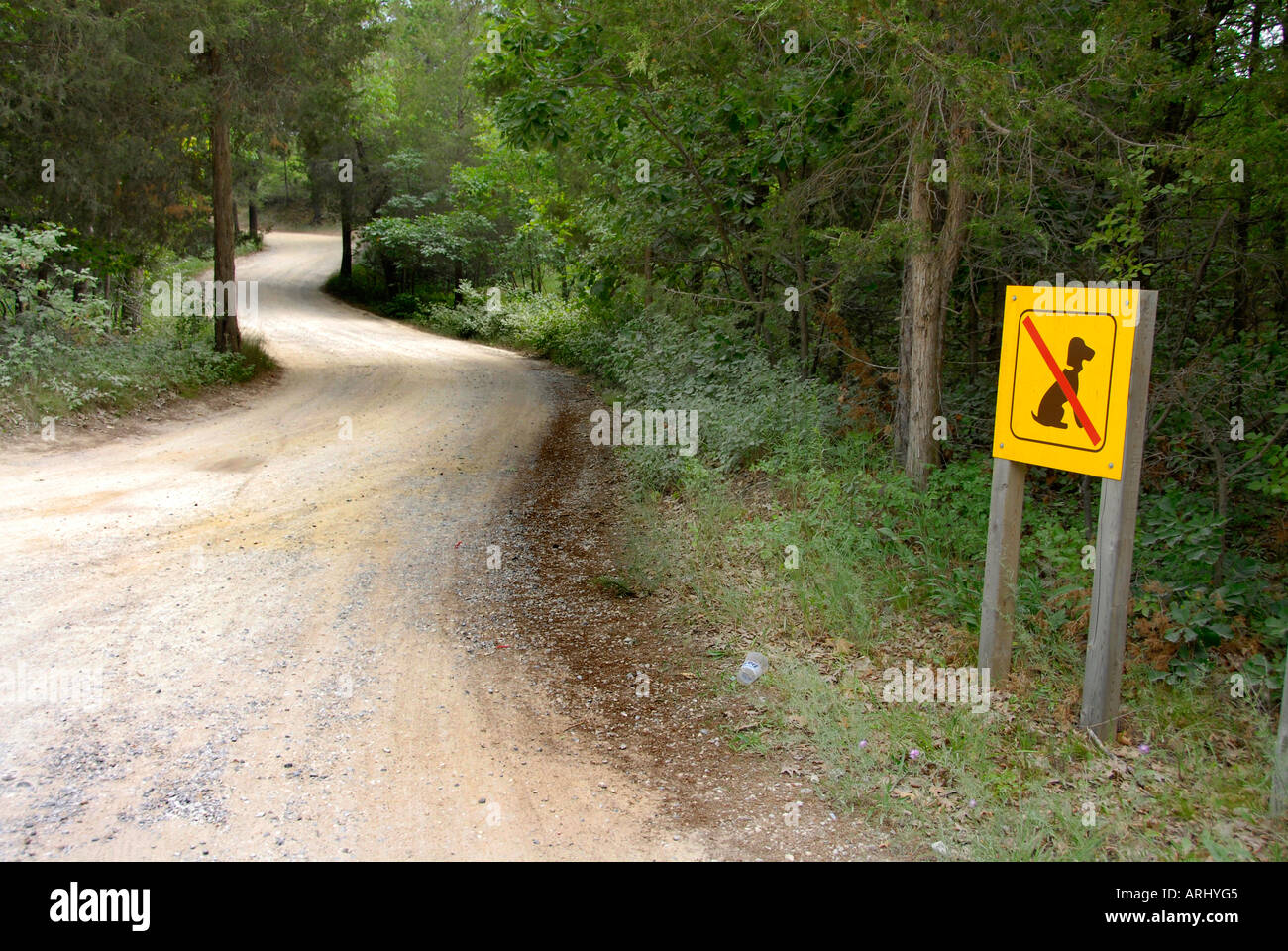 Dogs prohibited sign on the side of a campground road Stock Photo - Alamy