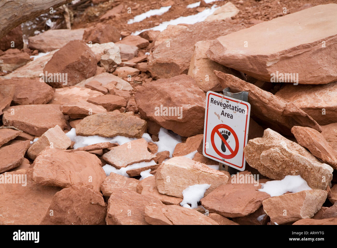 Revegetation area in the Grand Canyon Stock Photo - Alamy
