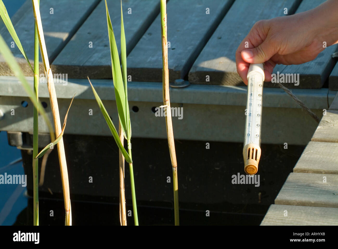 measurement of temperature of a lake hand holding a thermometer on a ...