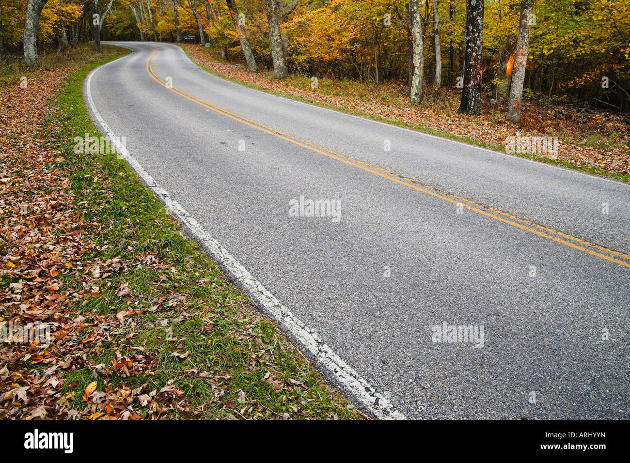 A view of skyline drive in Shenandoah national park Stock Photo - Alamy