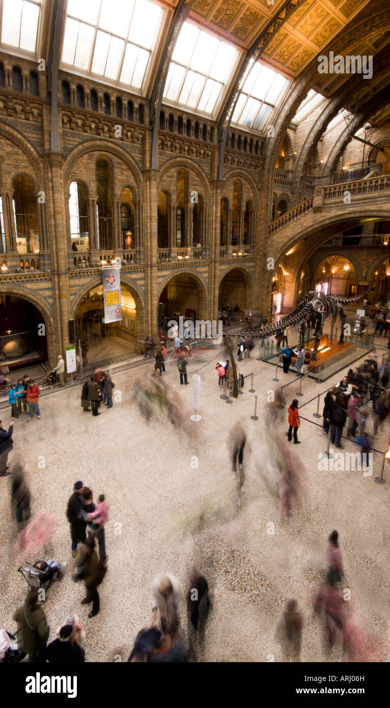 Crowds moving around inside the Natural History Museum, London, England ...