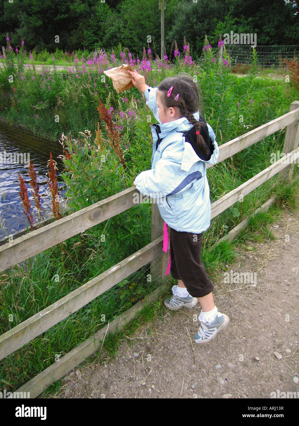 Kid feeding fish hi-res stock photography and images - Alamy