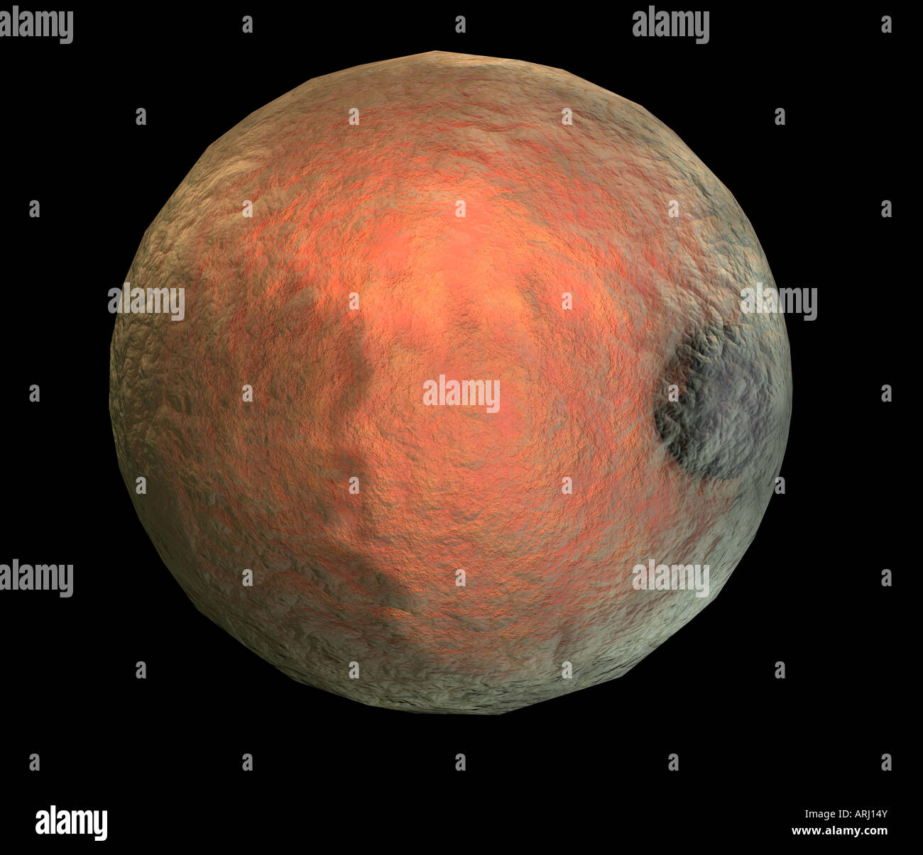 Human egg cell hi-res stock photography and images - Alamy
