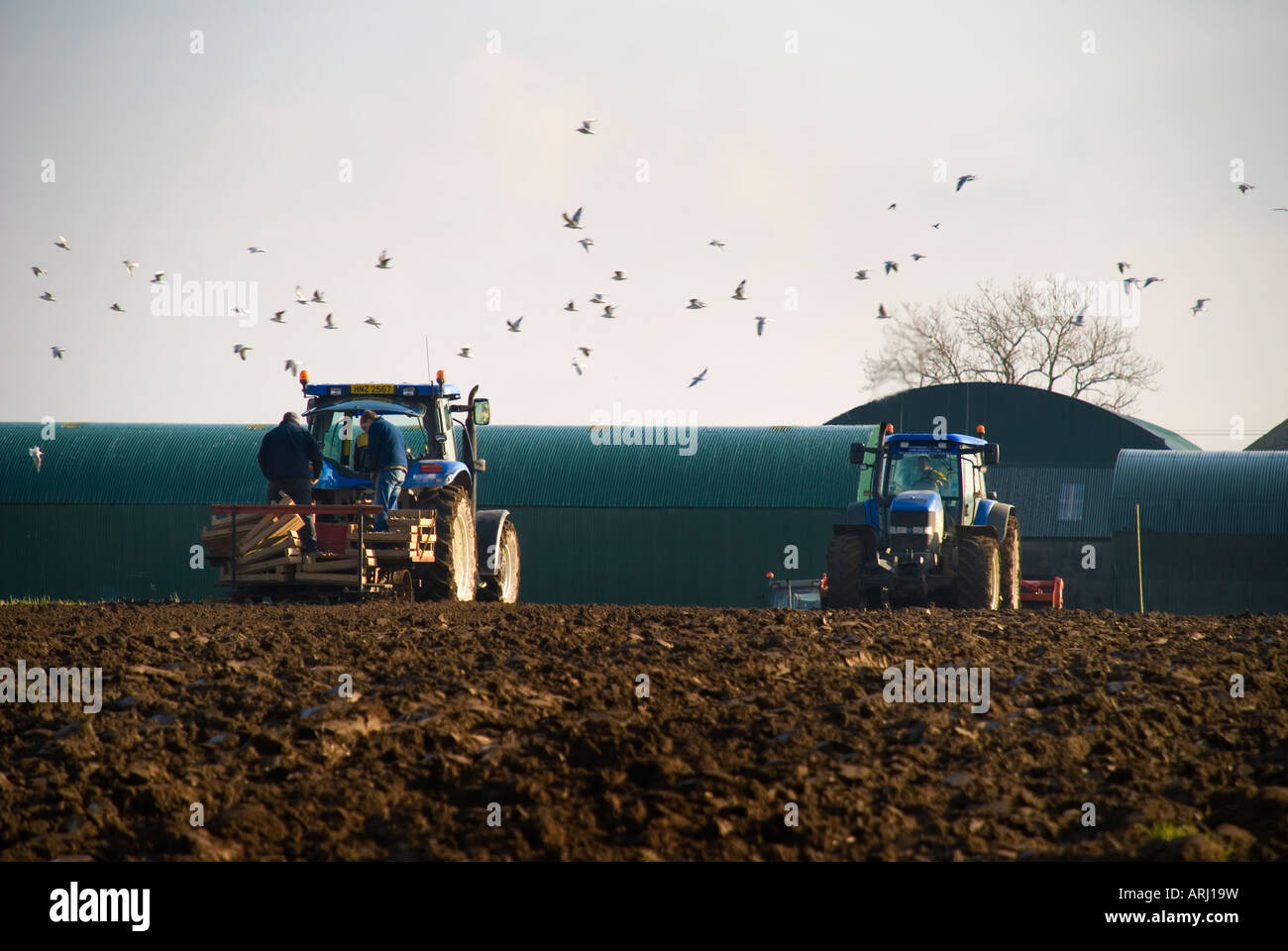 Potato Farming Ireland High Resolution Stock Photography and Images - Alamy